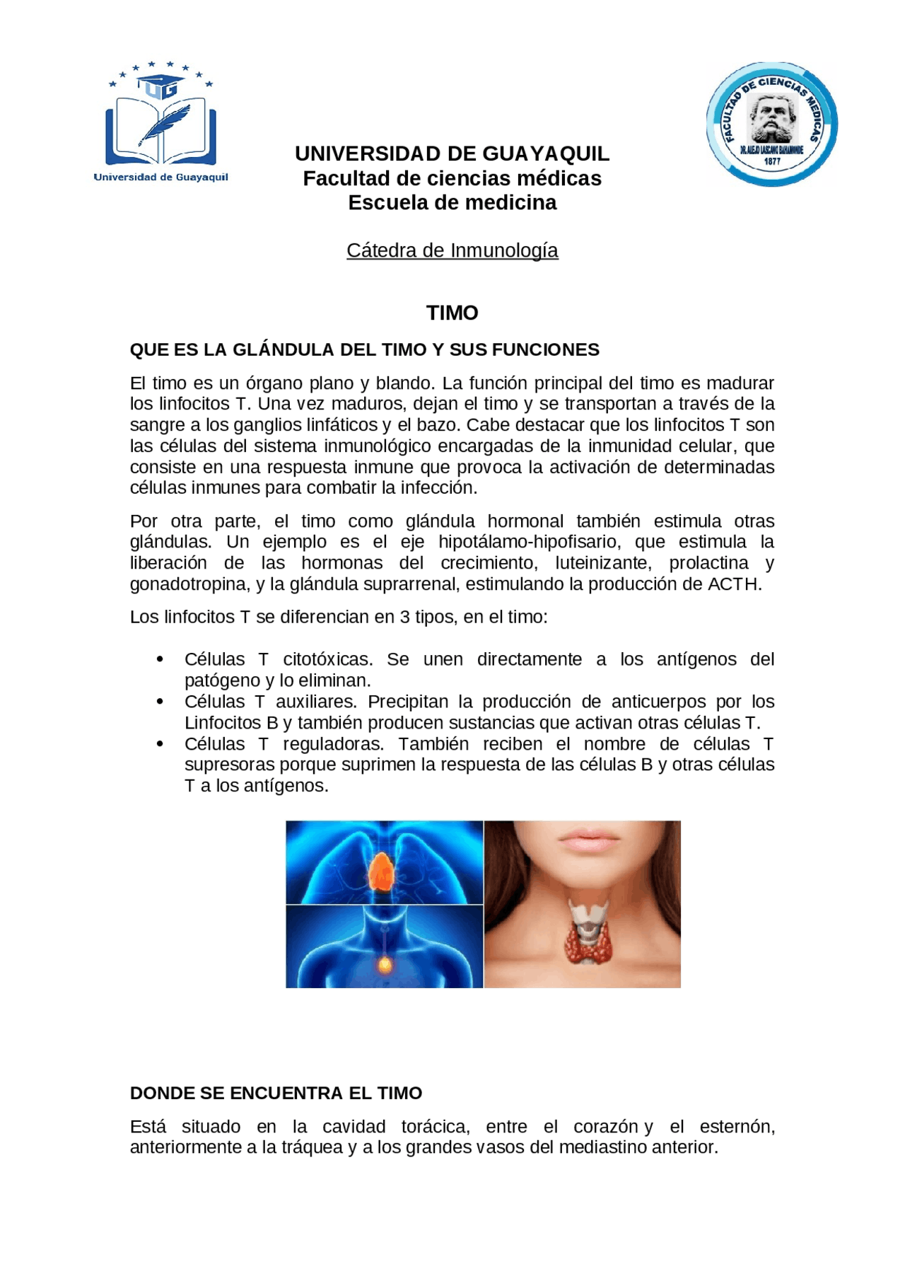 Qué es el Timo y sus funciones - Docsity