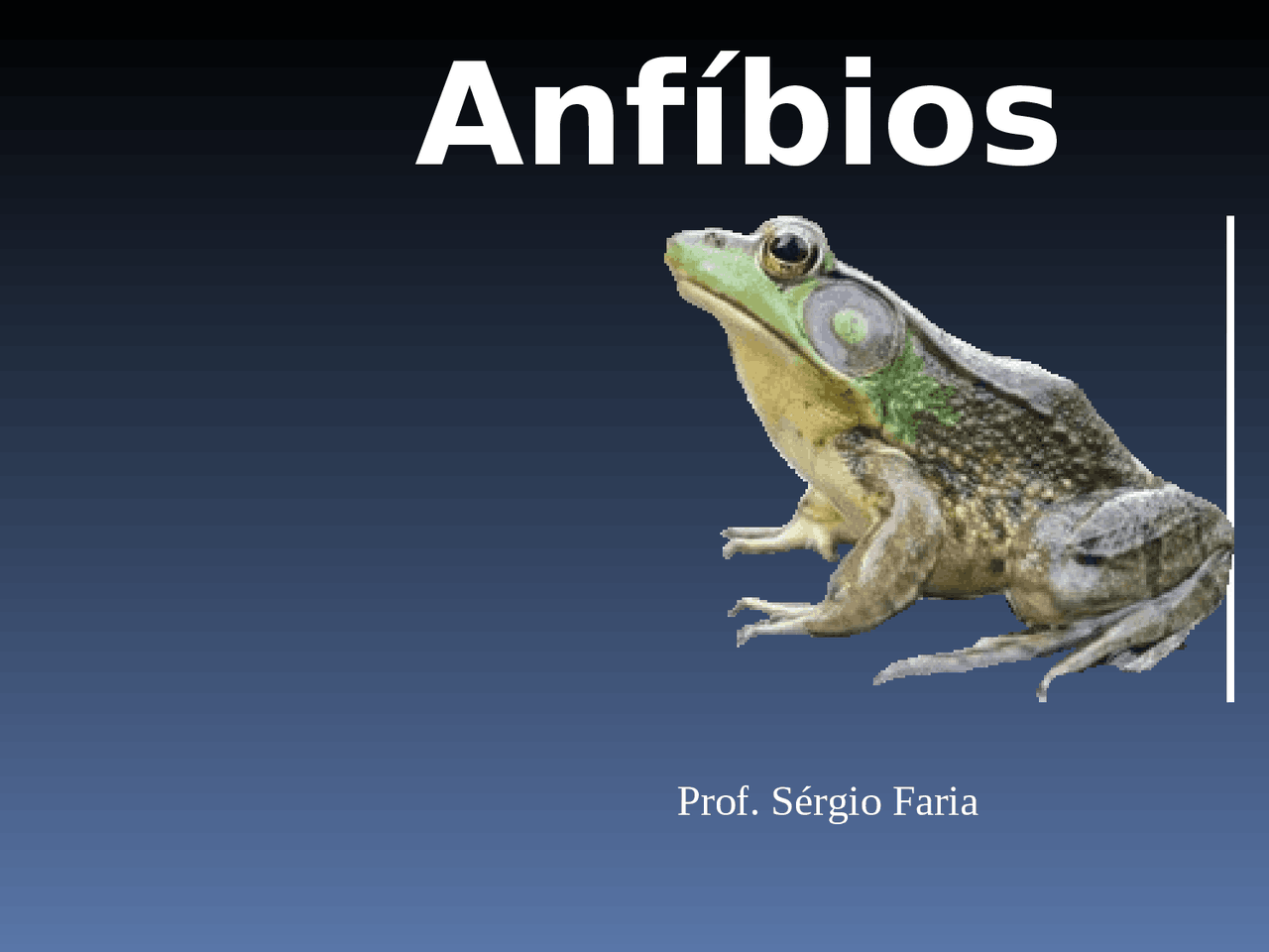 Anfíbios, Anuros, Urodelos - Docsity