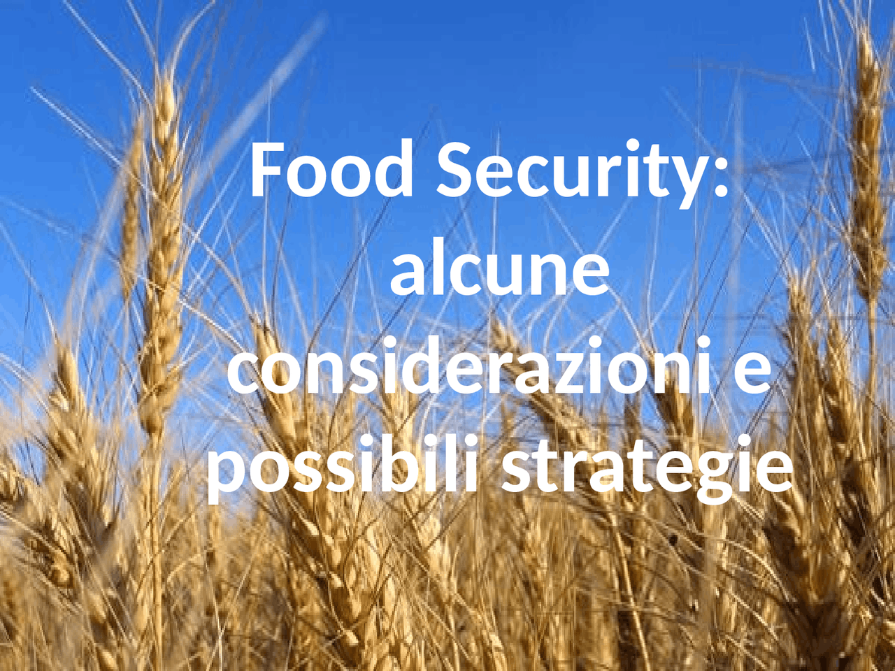 Food Security slides - Docsity
