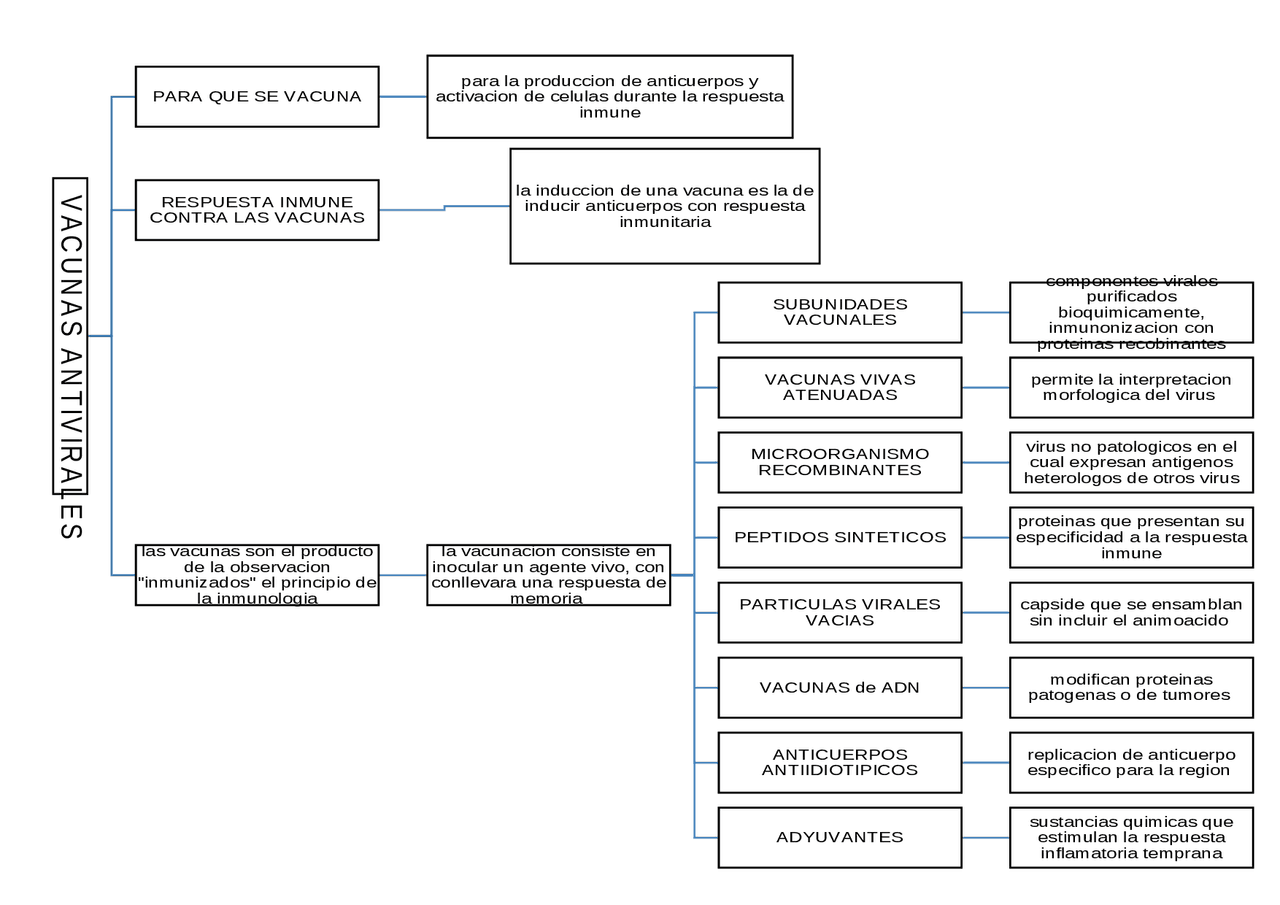 Esquema De Vacunas Antivirales Docsity