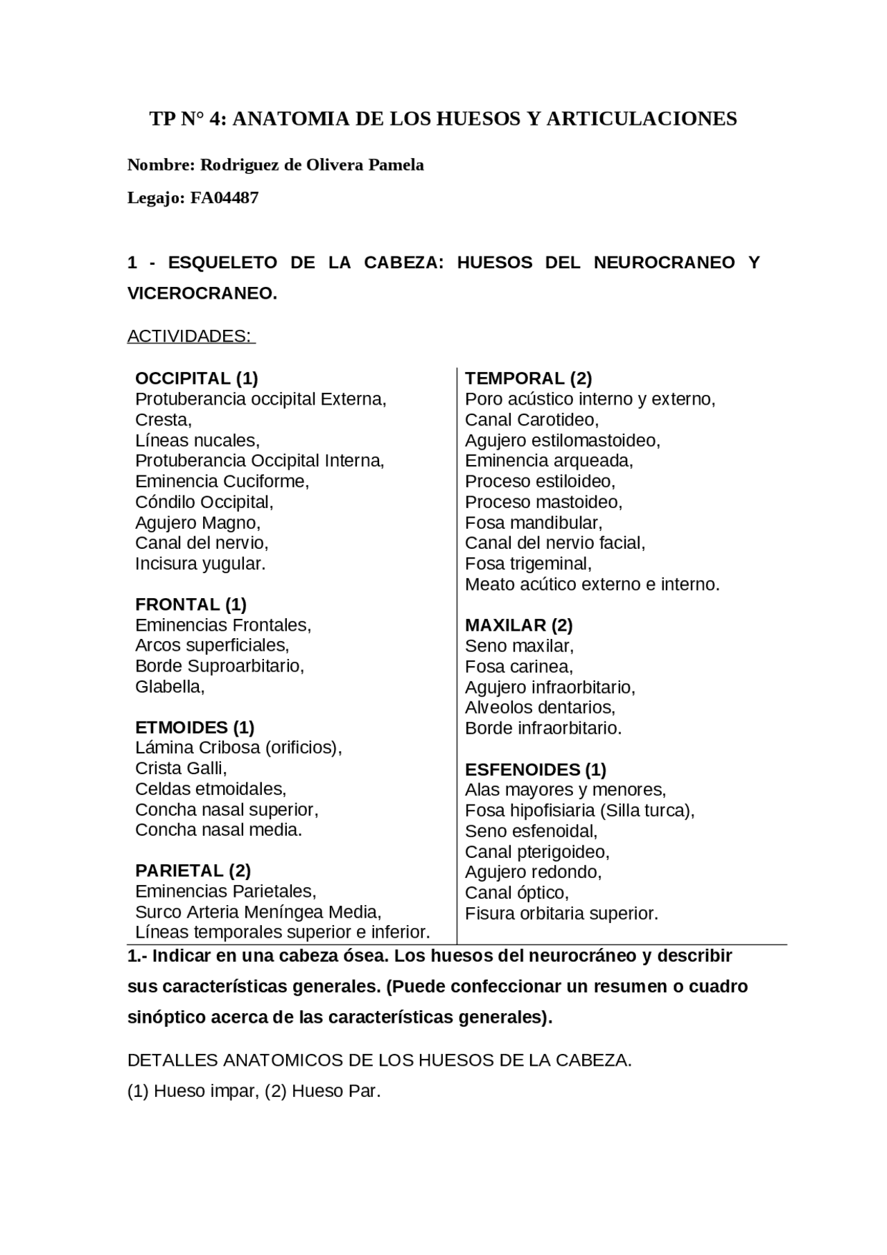 Anatomía De Los Huesos Y Articulaciones Primera Parte Esqueleto De La