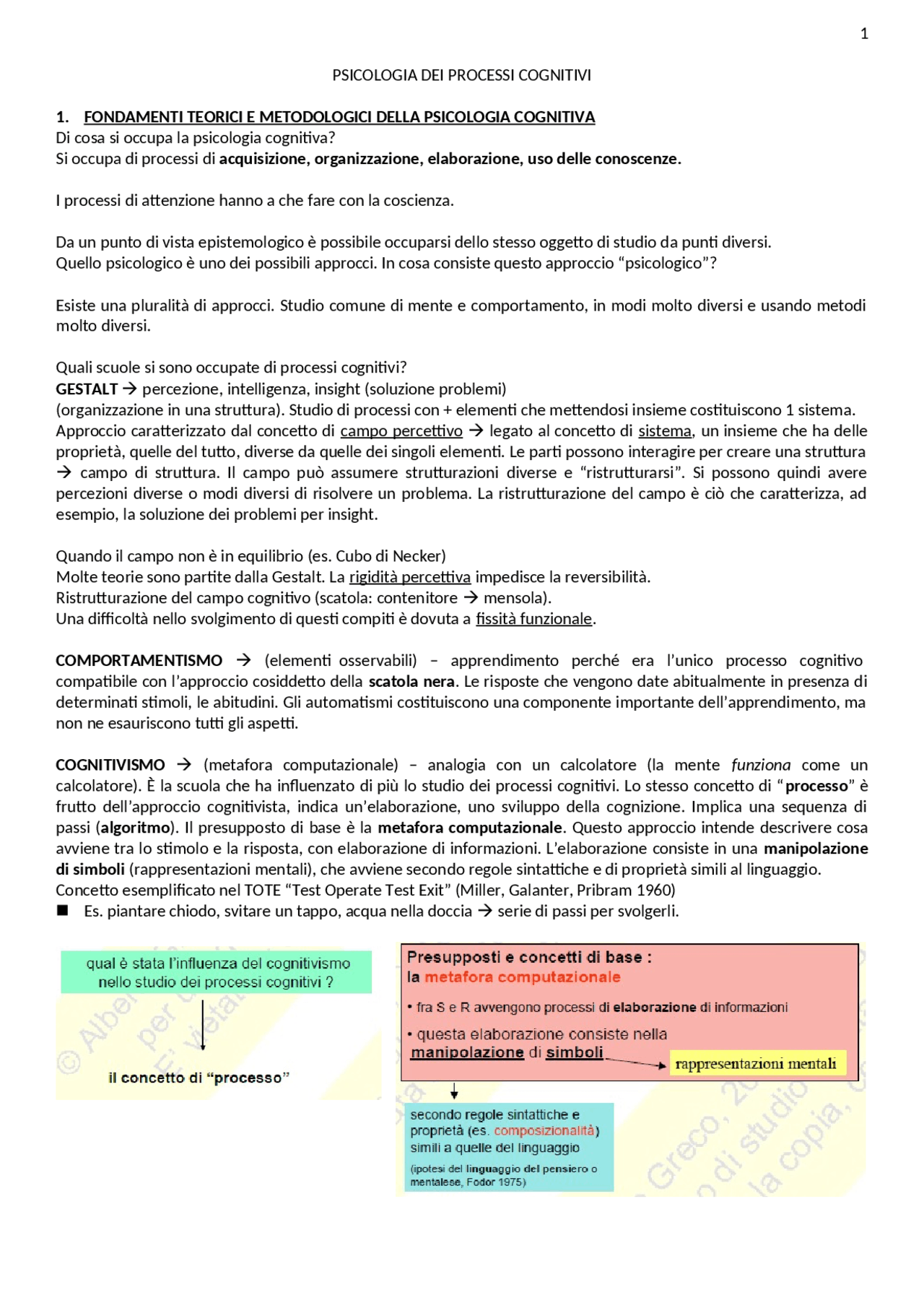 Psicologia Dei Processi Cognitivi Aa 20182019 Docsity