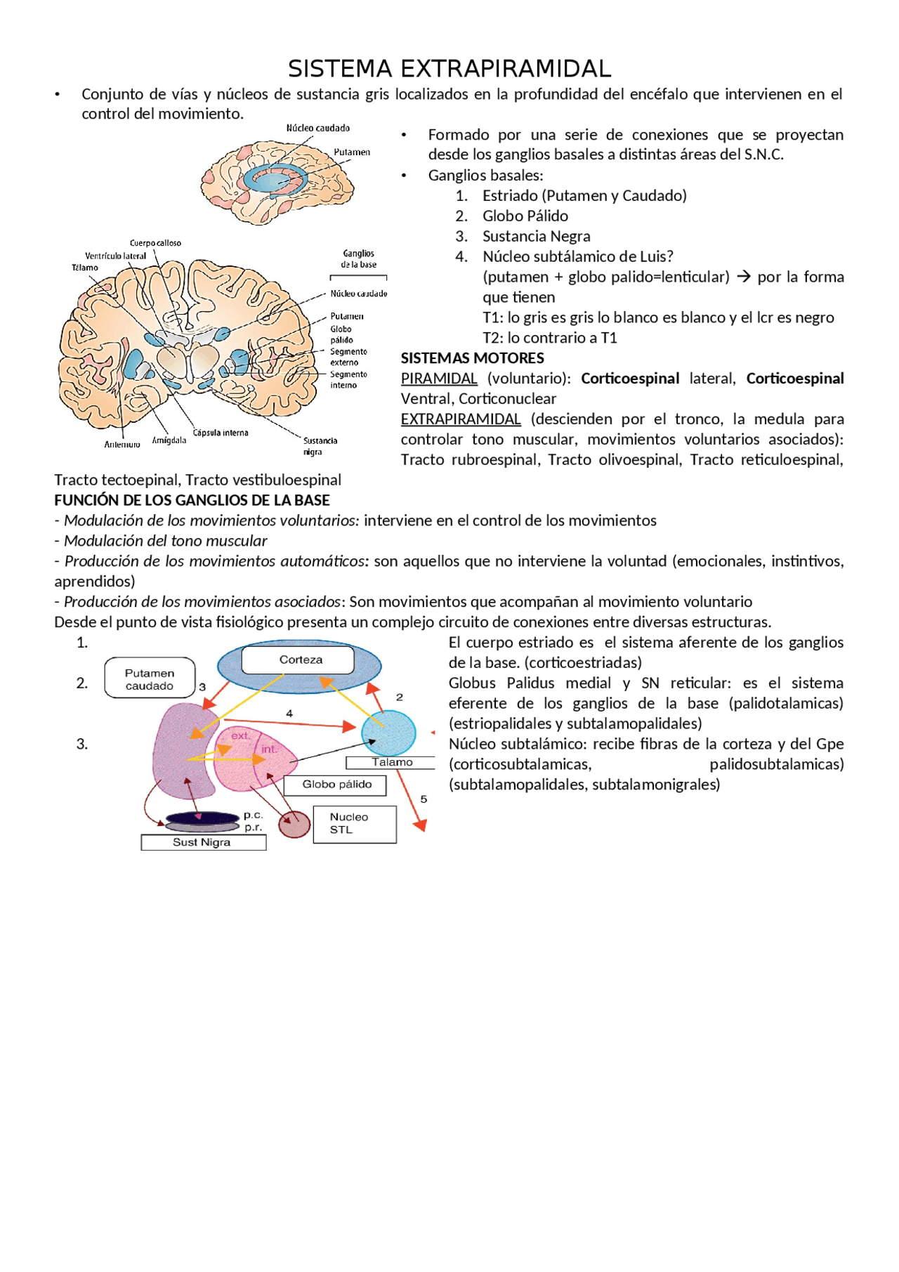 Sistema Extrapiramidal