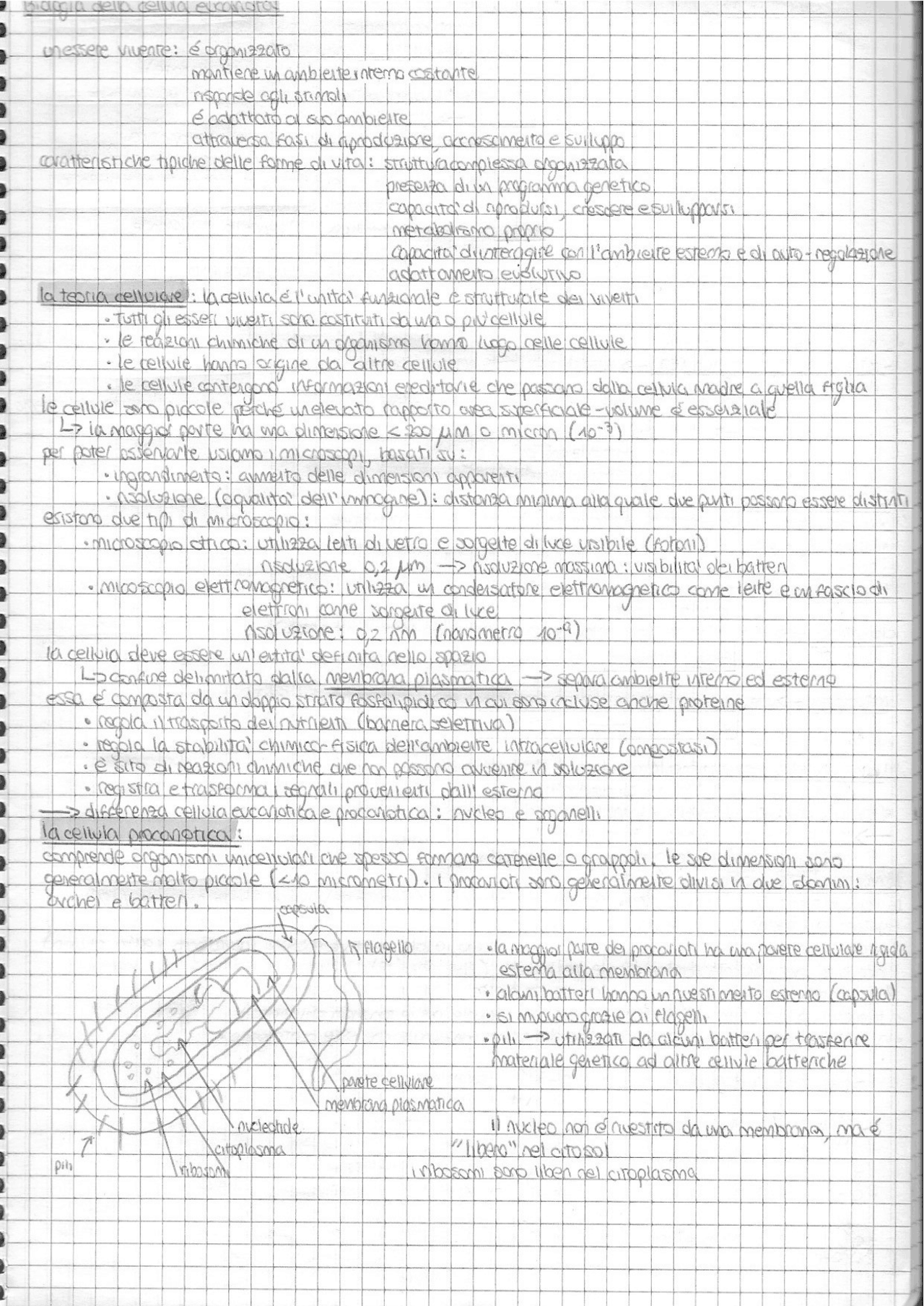 Appunti Biologia Della Cellula Docsity
