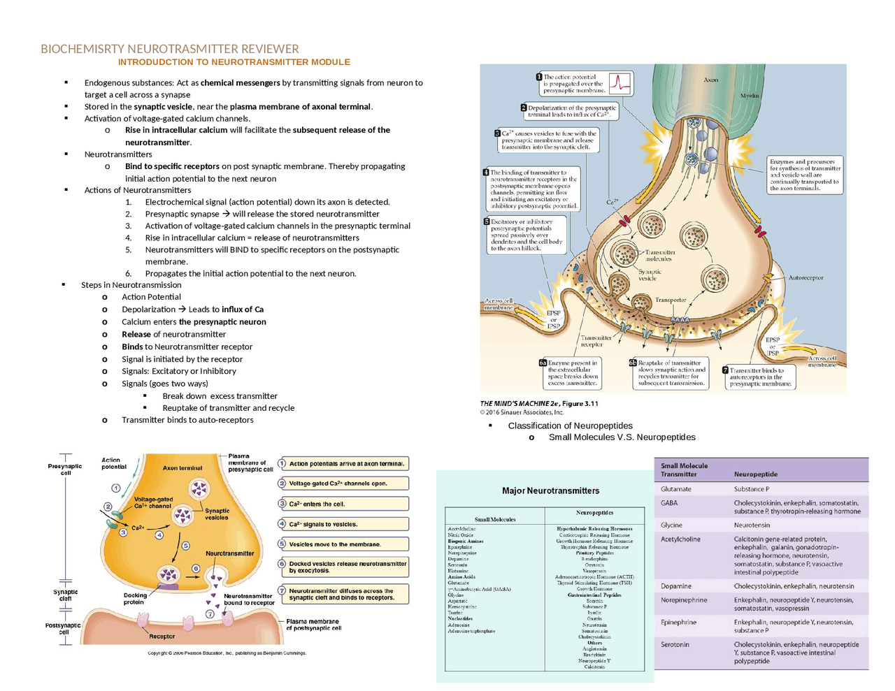Biochemistry Neurotransmitter Review - Docsity