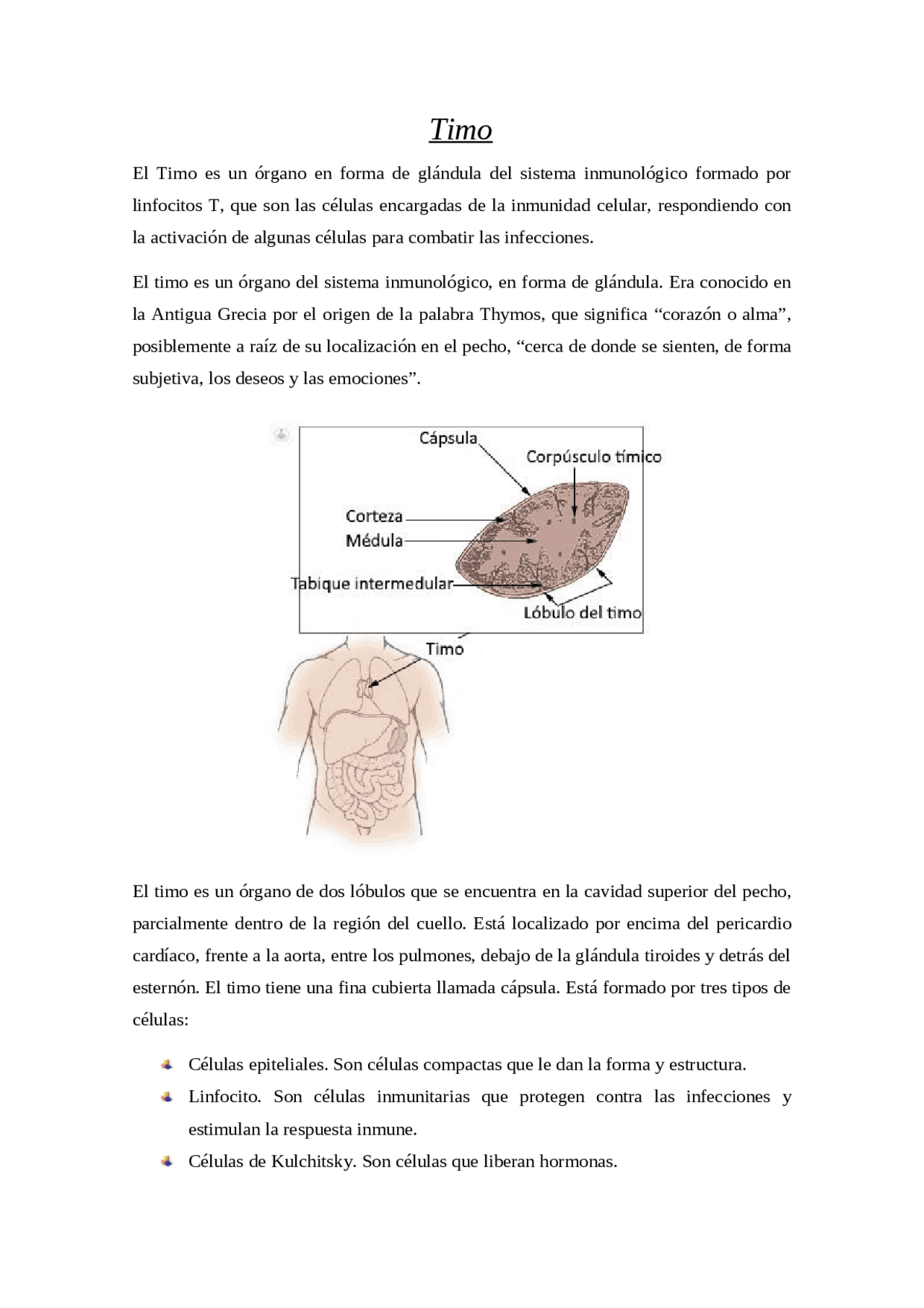 El timo y su estructura - Docsity