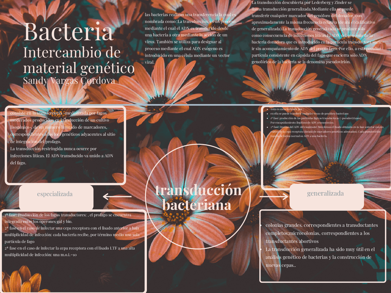 intercambio de material genético-bacteria | Schemes and Mind Maps ...