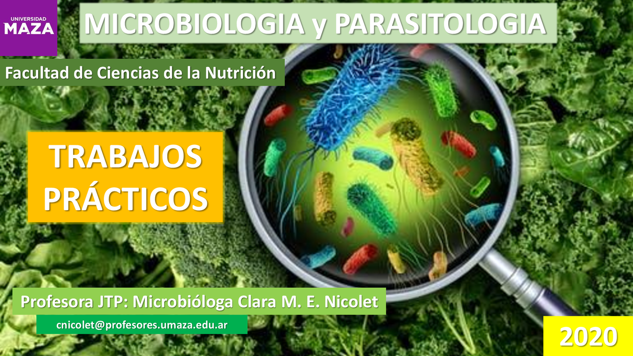Microbiología Y Parasitología Slides De Microbiologie Docsity