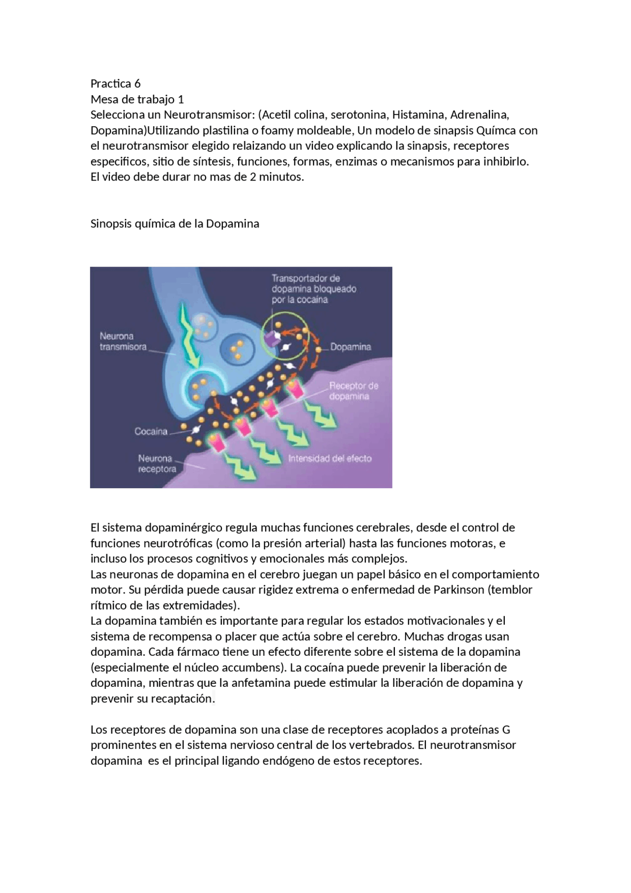 Practica 6 Fisiiologia Resúmenes De Fisiología Docsity