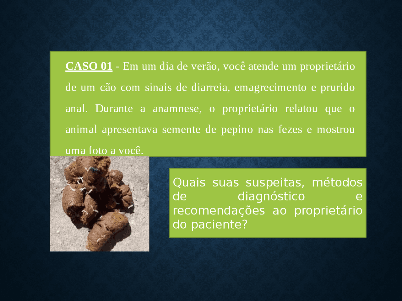 Aula teste de exercicios sobre parasitologia - Docsity