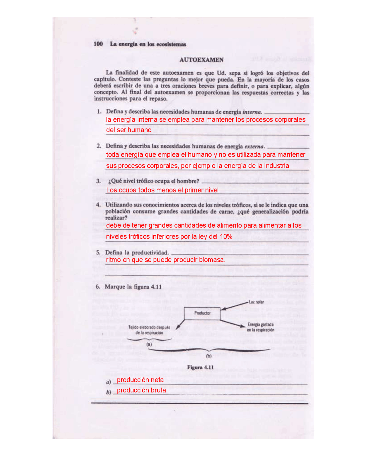 AutoevaluaciÓn 4 Capitulo 4 Docsity