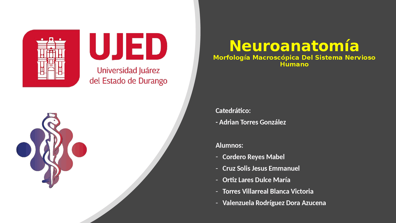 Neuroanatomía Del Snell Docsity