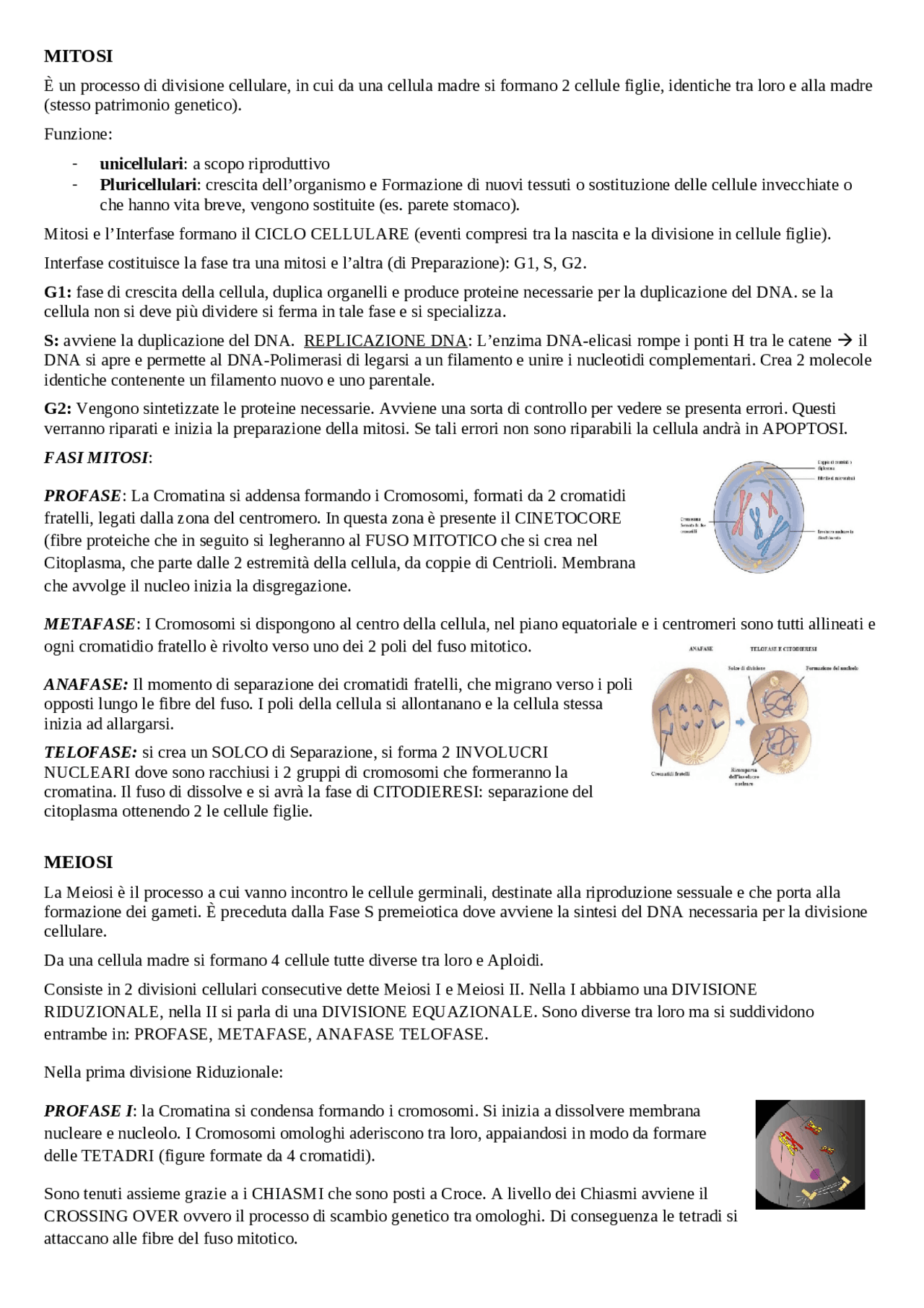 Biologia Per Infermieristica Docsity