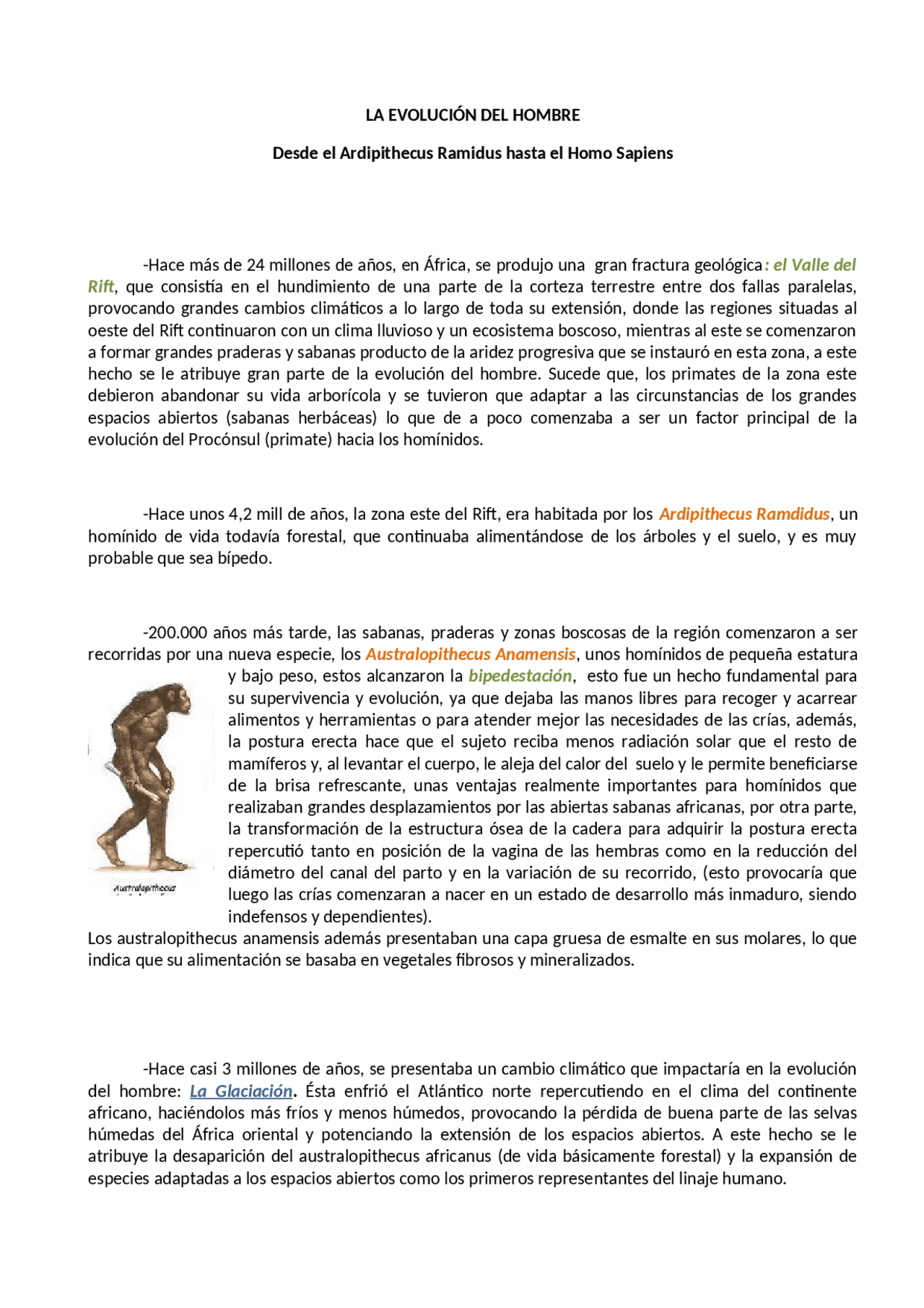 Dios Nació Mujer Cap 1 Evolución Del Hombre Resúmenes De