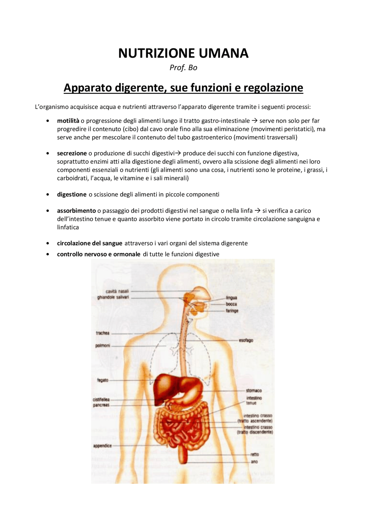 Appunti Nutrizione Umana Docsity