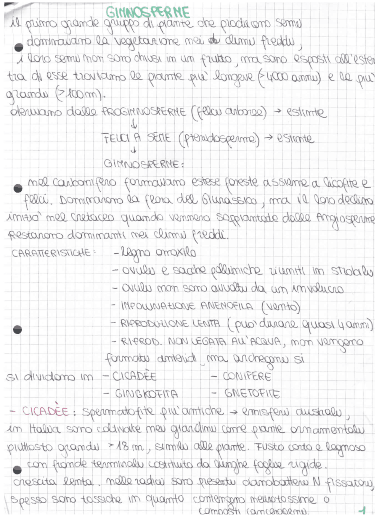 Gimnosperme Appunti Docsity