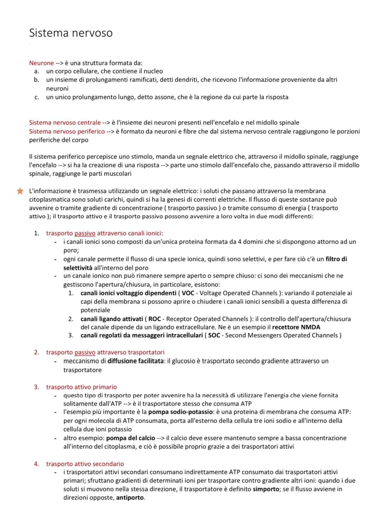 Sistema Nervoso Docsity