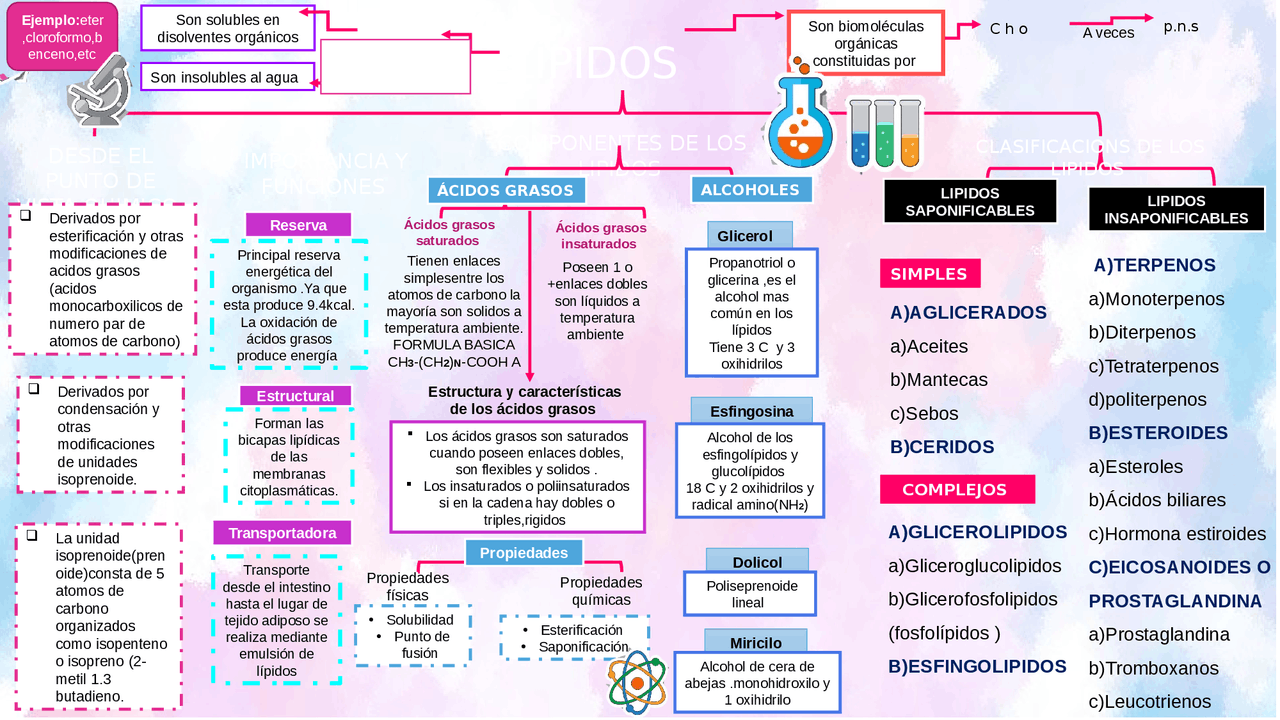 LÍpidos Generalidades Docsity