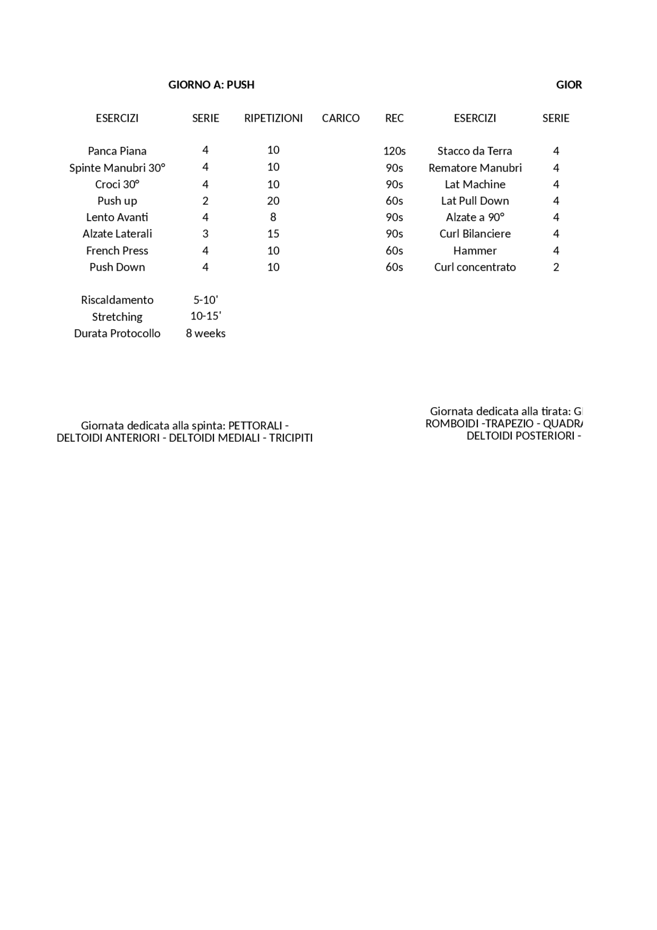 Scheda palestra uomo monofrequenza protocollo PPL - Docsity