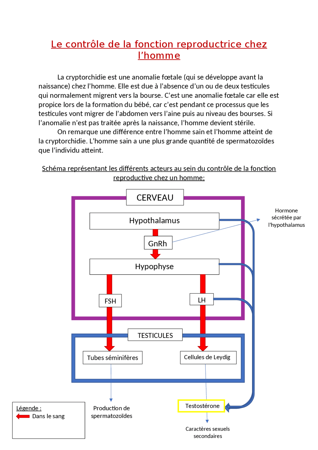 Schéma Bilan Biology | Schemes and Mind Maps Biology | Docsity