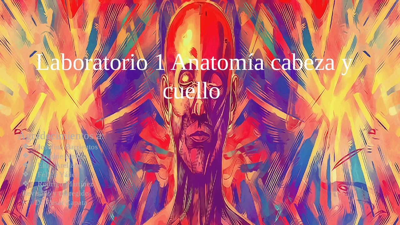 Anatomía Cabeza Y Cuello Laboratorio 1 Odontología Diapositivas De
