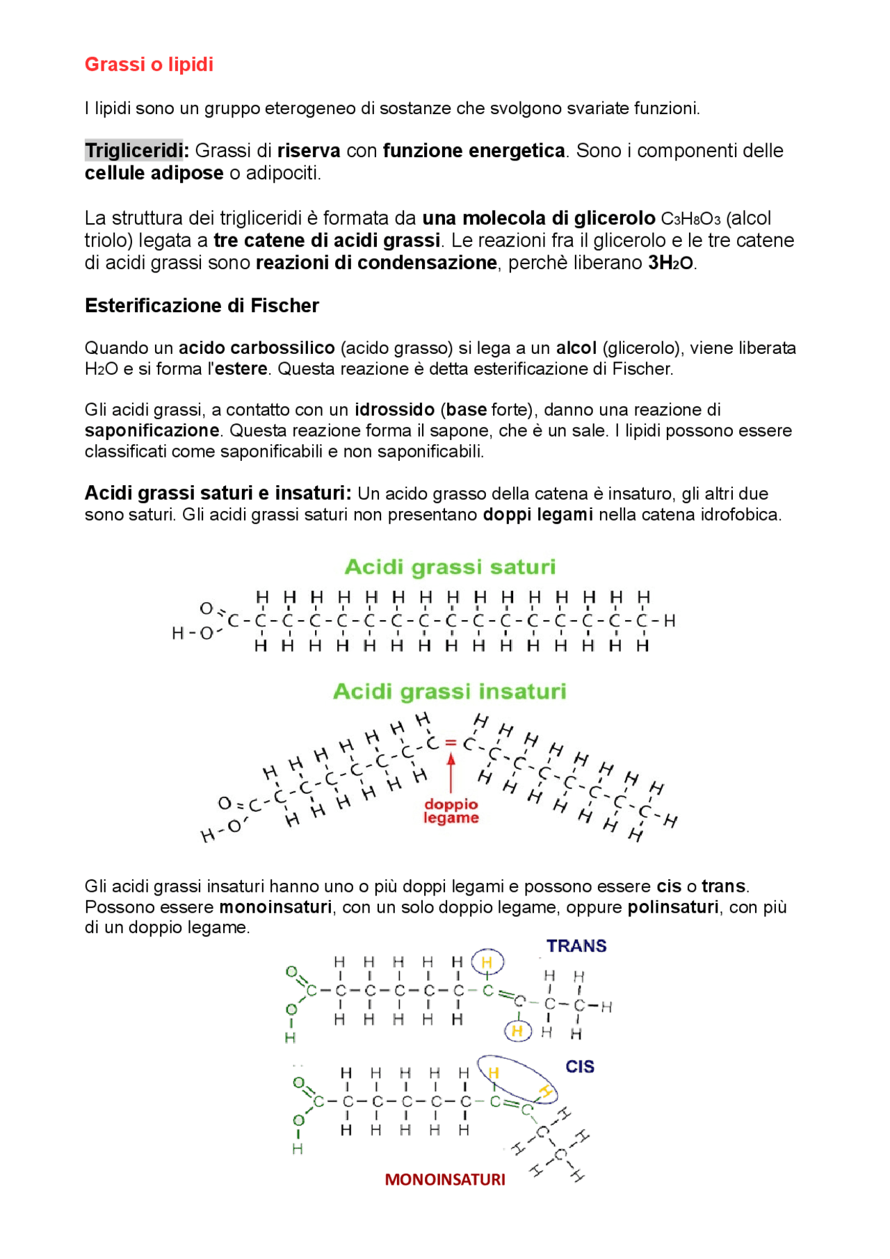 Appunti Su Grassi O Lipidi Docsity