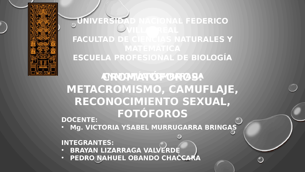 CROMATÓFOROS: Metacromismo, camuflaje, reconocimiento sexual y ...