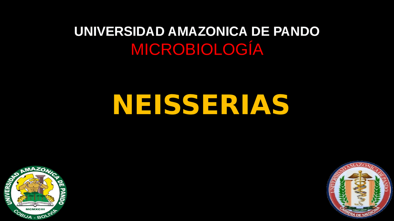 Neisserias Apresentación Ppt 2020 Docsity