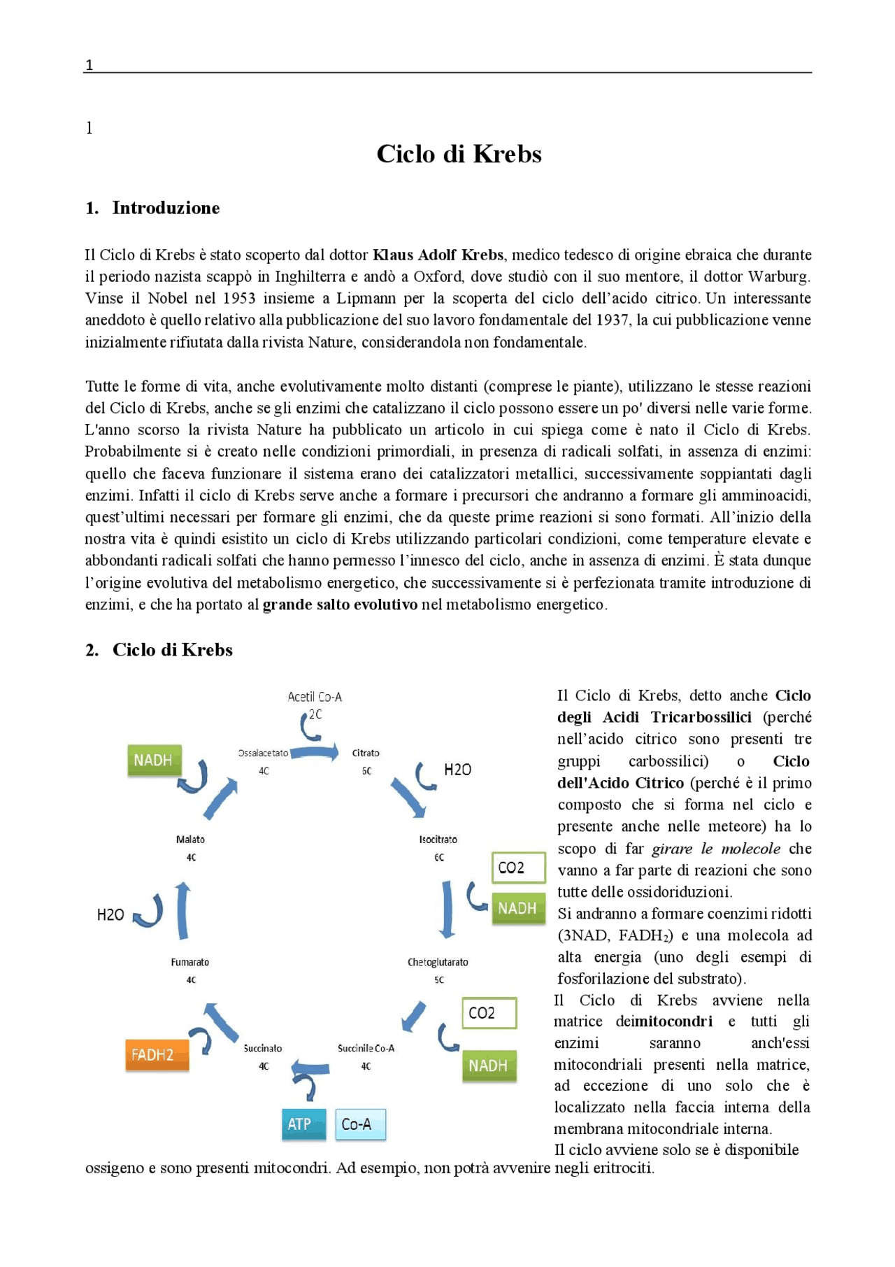Il Ciclo Di Krebs Tappe Regolazione E Resa Energetica Docsity