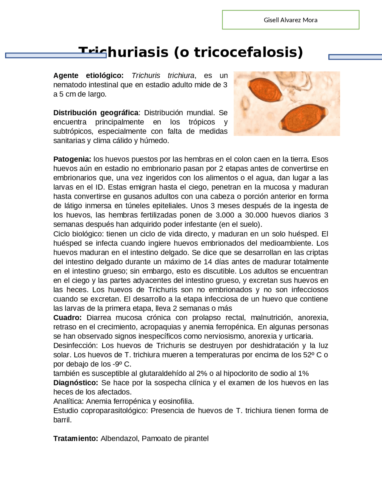Parasitologia Apuntes 2020 Docsity