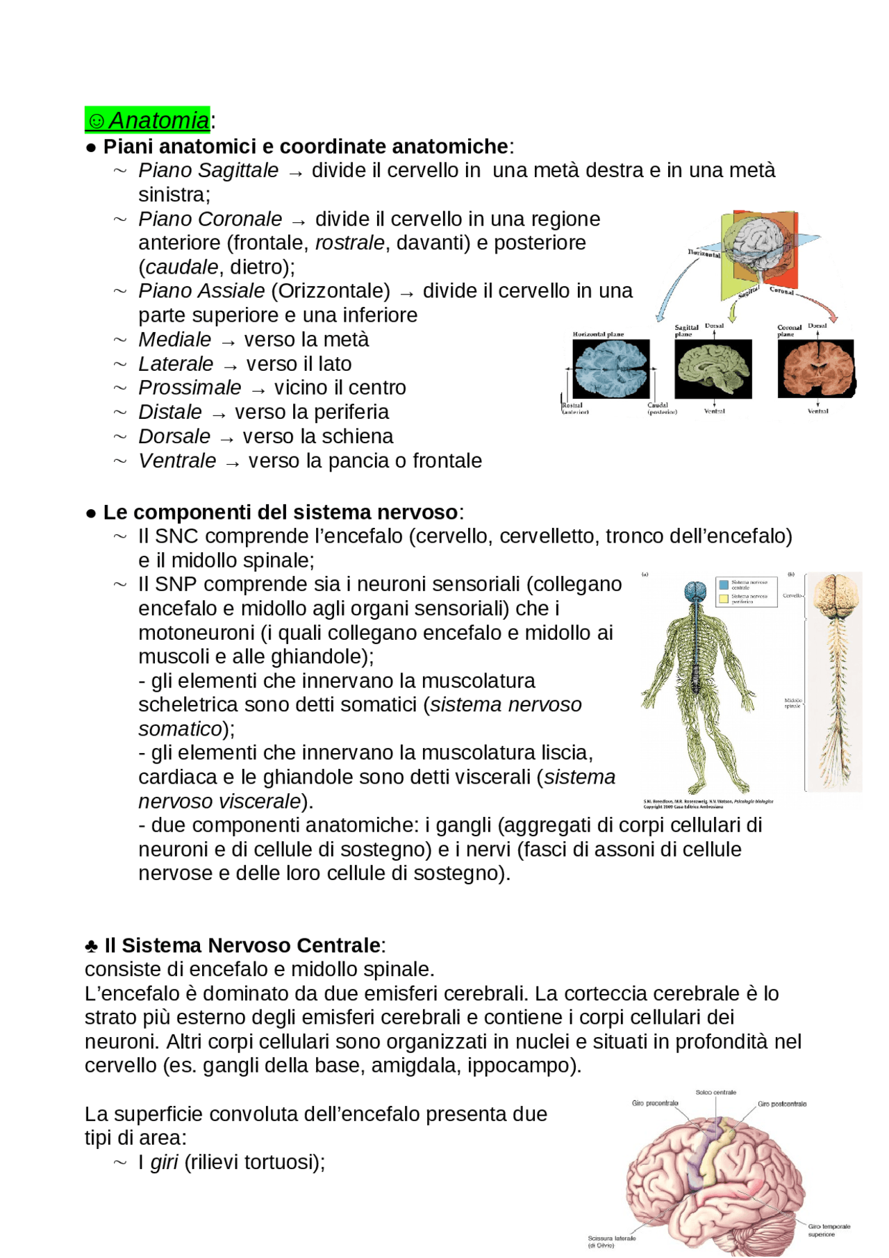 Riassunto N3 Di Neuroscienze Che Integra Libro Di Testo Slide Del