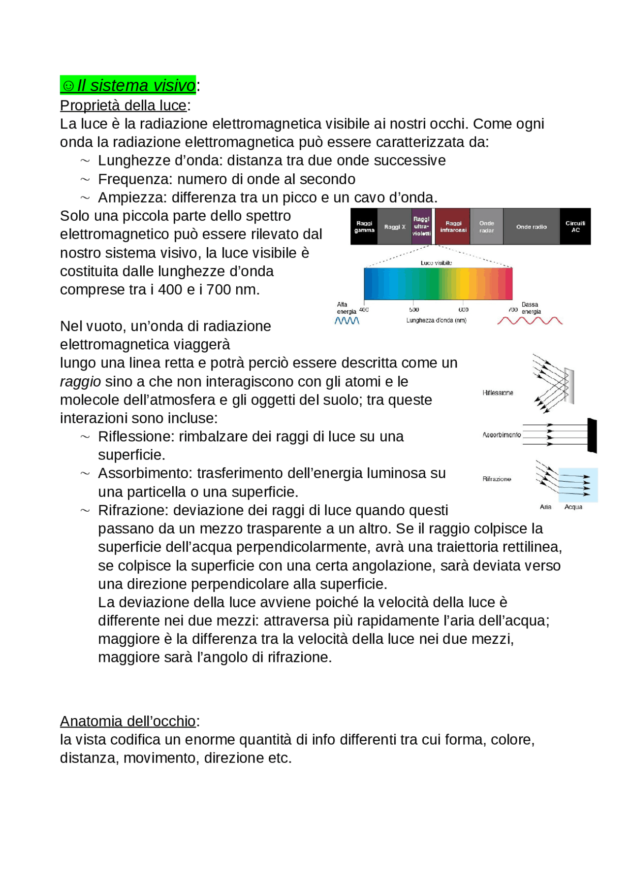 Riassunto N4 Di Neuroscienze Che Integra Libro Di Testo Slide Del