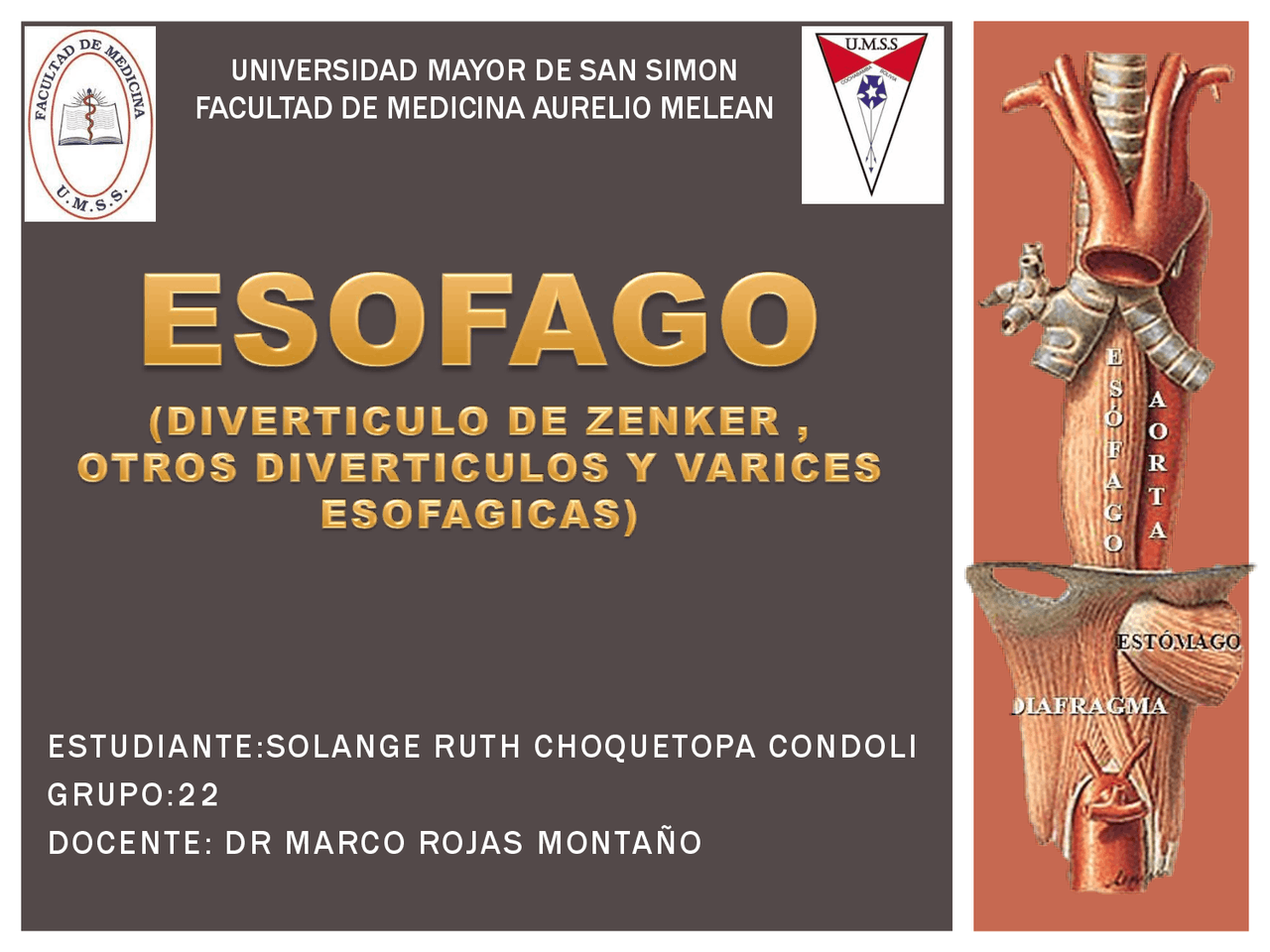 ESOFAGO DIVERTICULO DE ZENKER Y VARICES ESOFAGICAS - Docsity