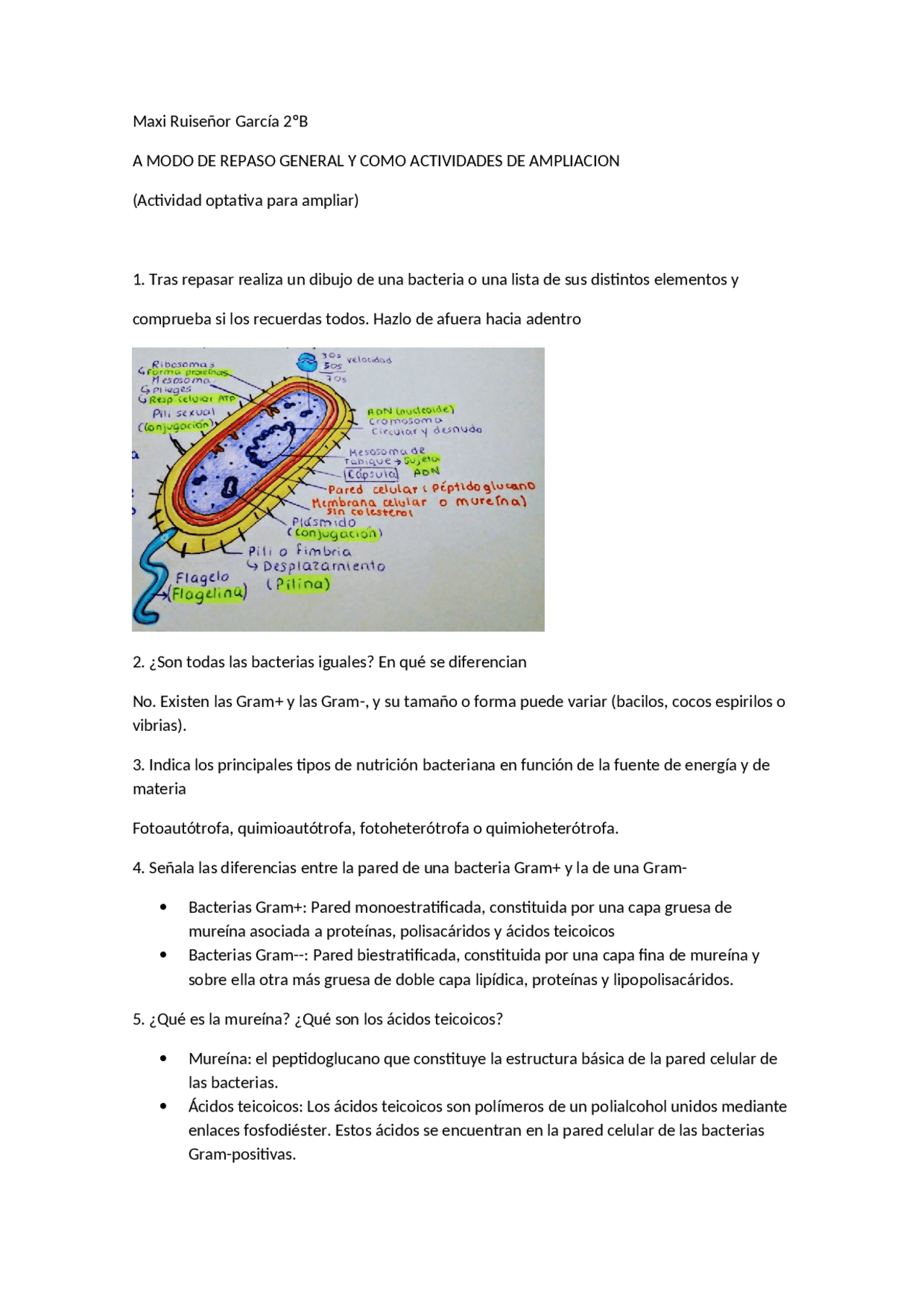Virus Y Bacterias 2 Bachillerato Docsity