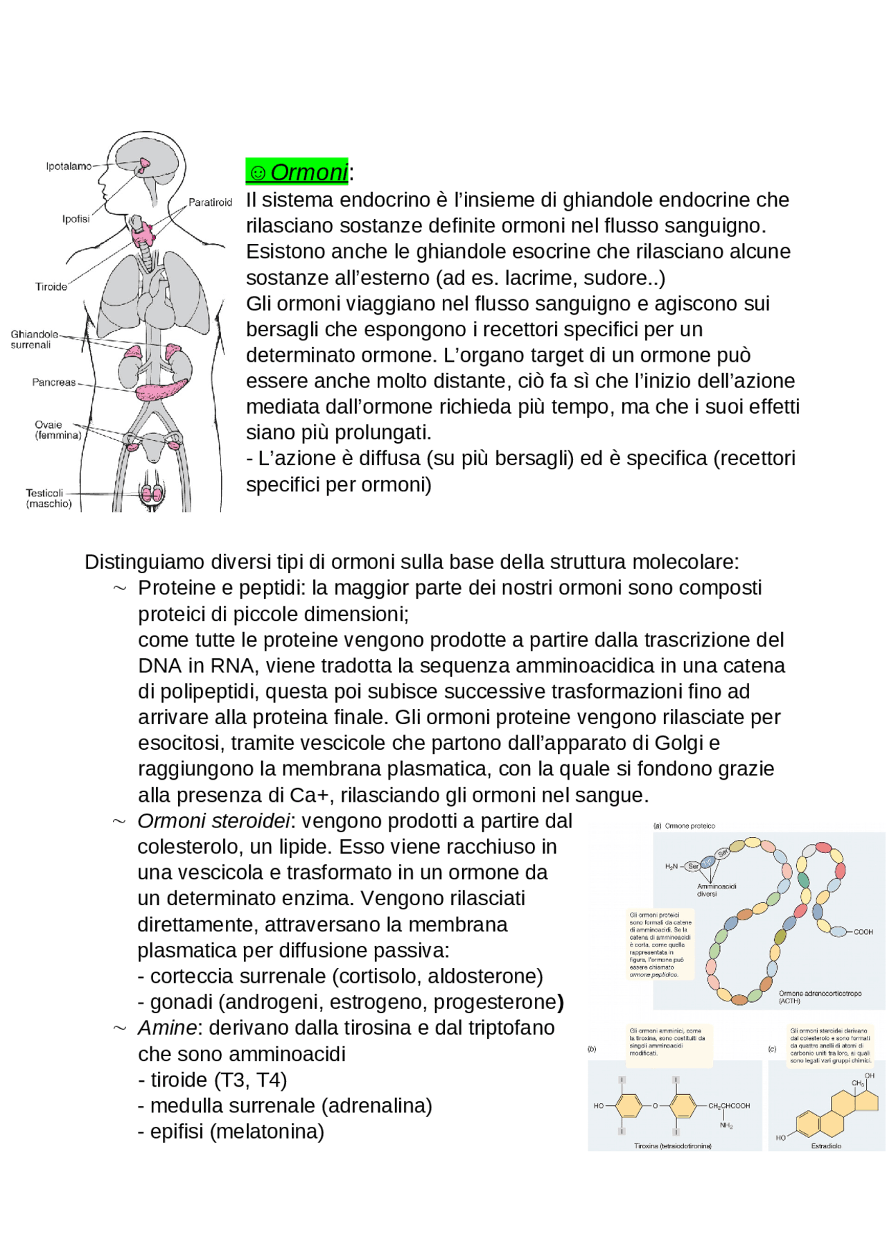 Riassunto N13 Di Neuroscienze Che Integra Libro Di Testo Slide Del