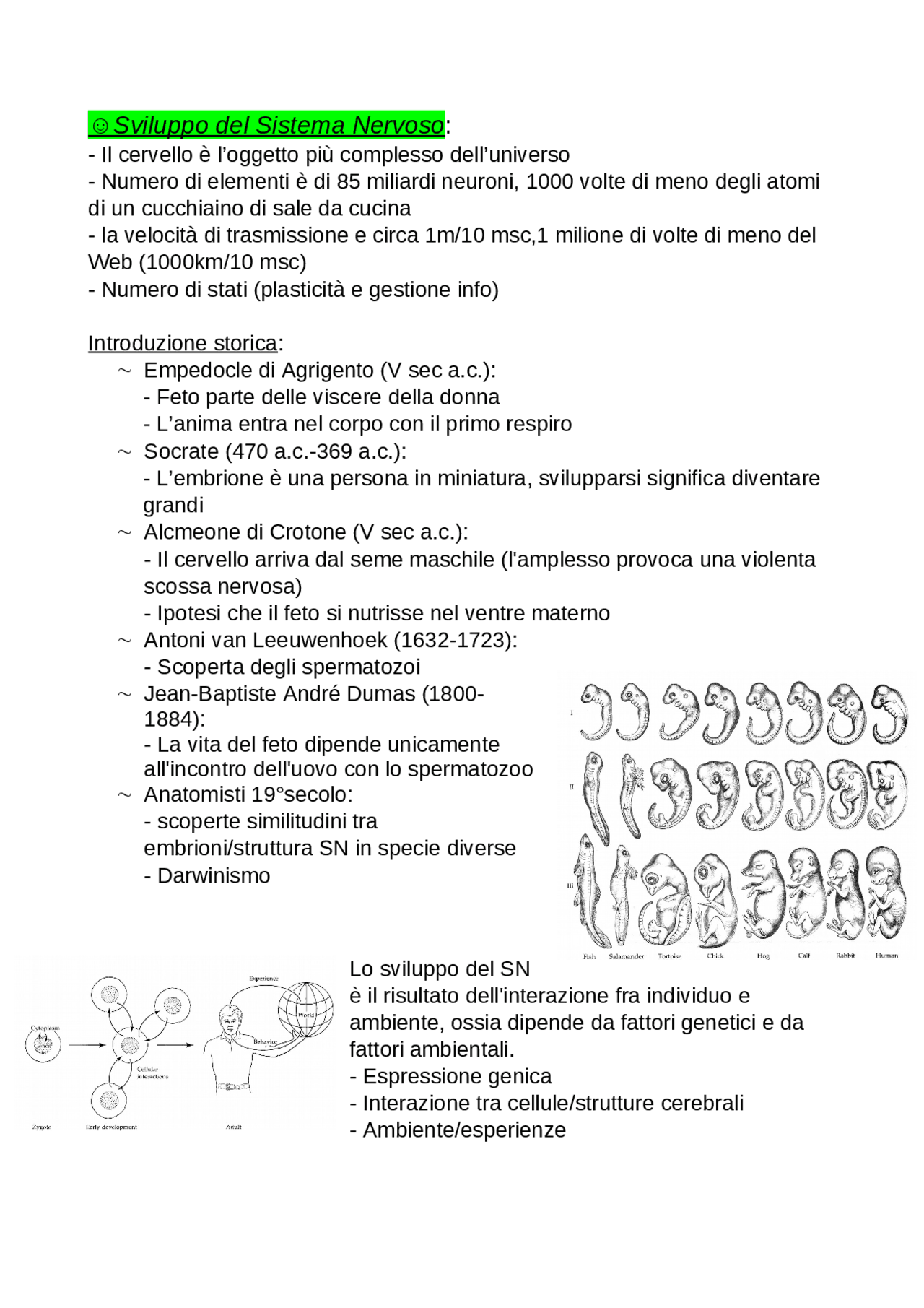 Riassunto N14 Di Neuroscienze Che Integra Libro Di Testo Slide Del