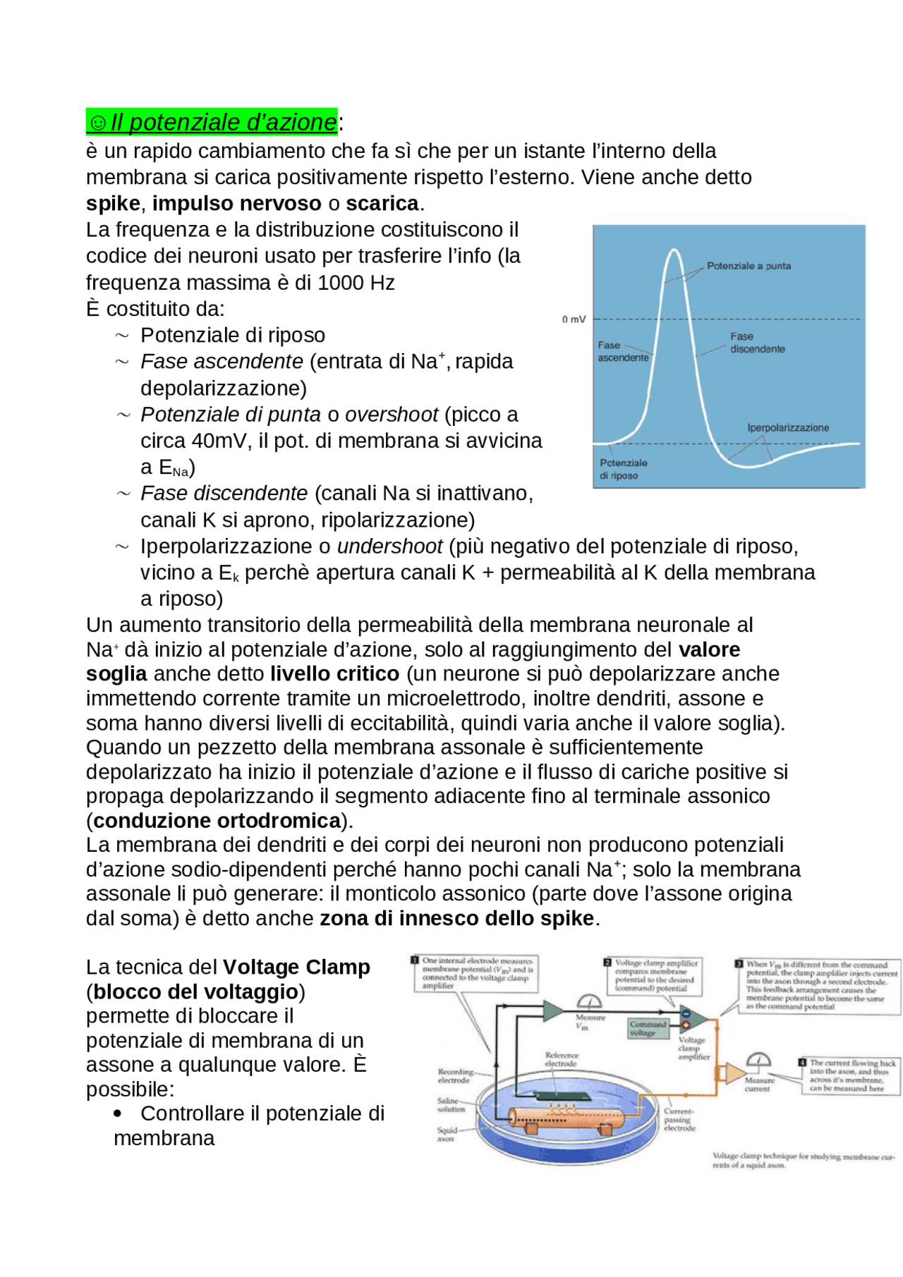 Riassunto N2 Di Neuroscienze Che Integra Libro Di Testo Slide Del