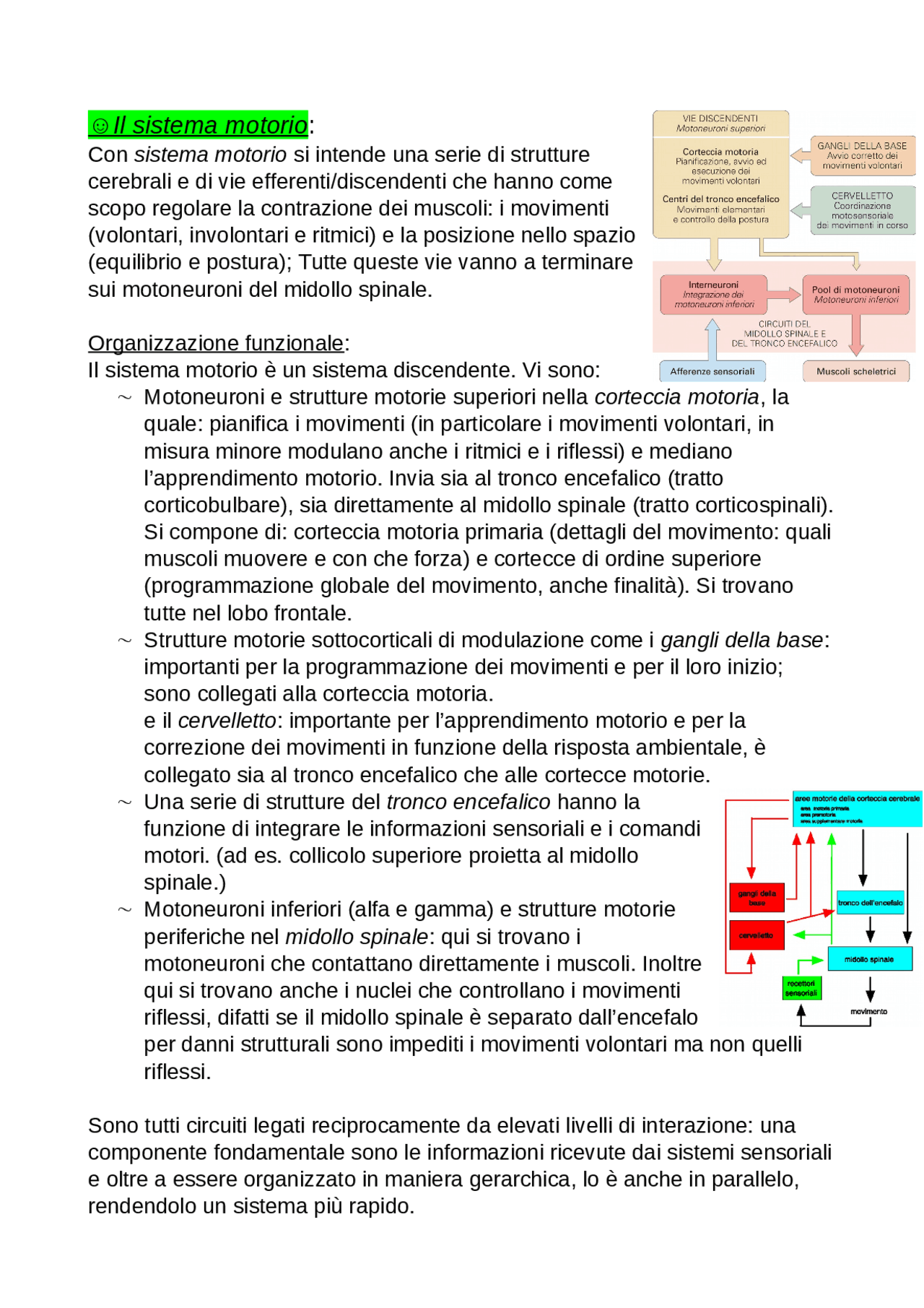 Riassunto N10 Di Neuroscienze Che Integra Libro Di Testo Slide Del