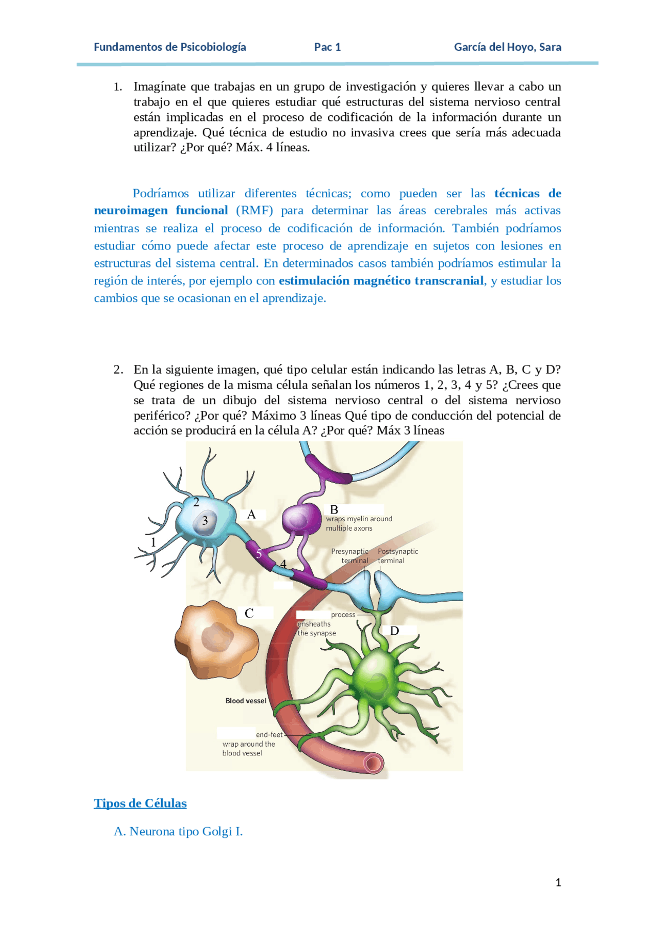 Pac 1 Ejercicios Psicobiología Docsity
