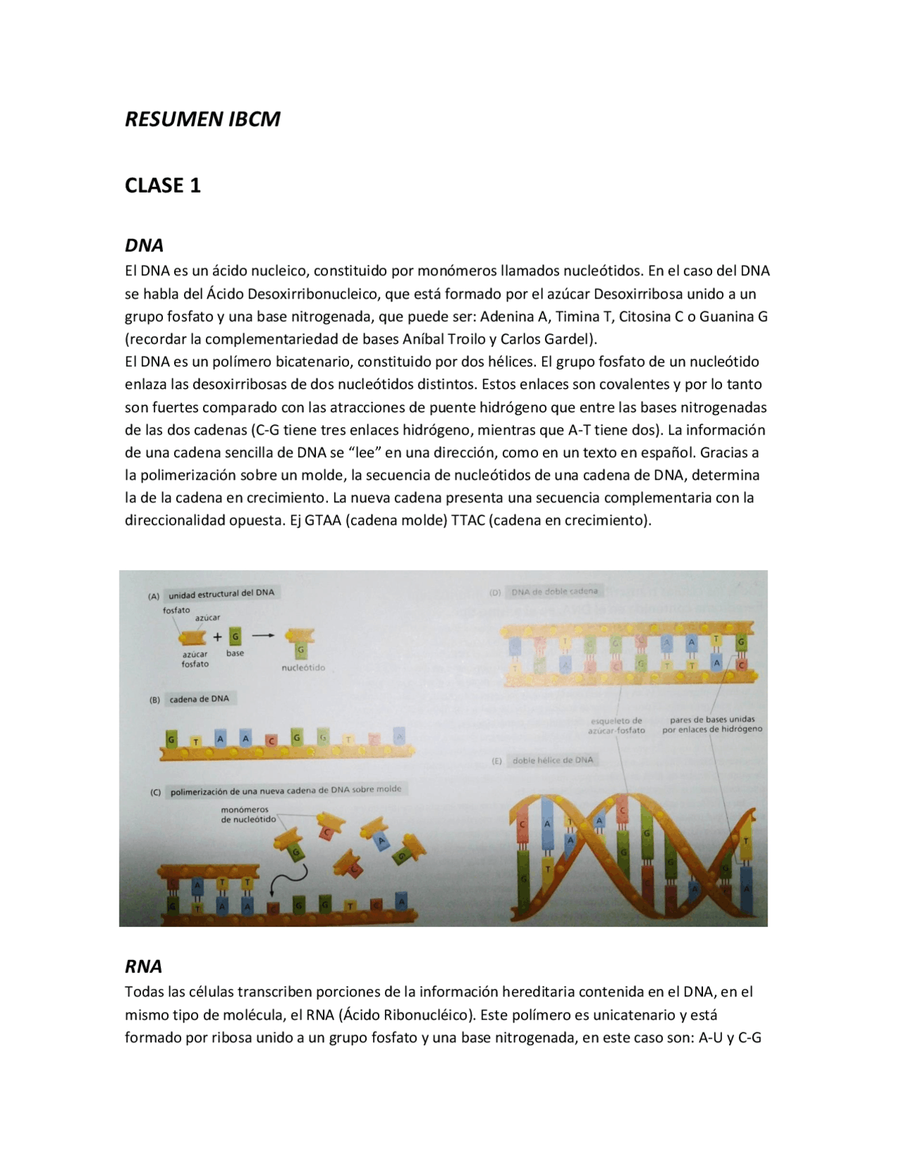 Biologia Celular Y Molecular Docsity
