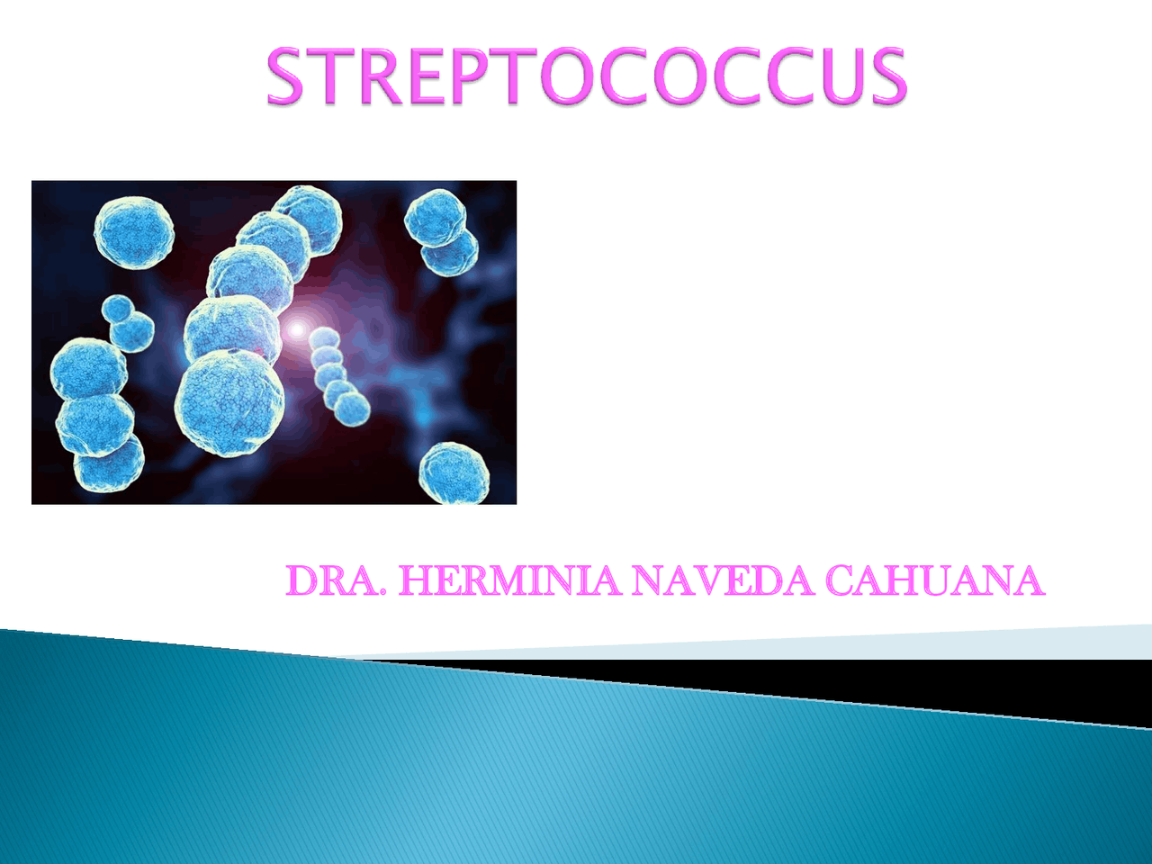 Streptococcus Descrpción Docsity