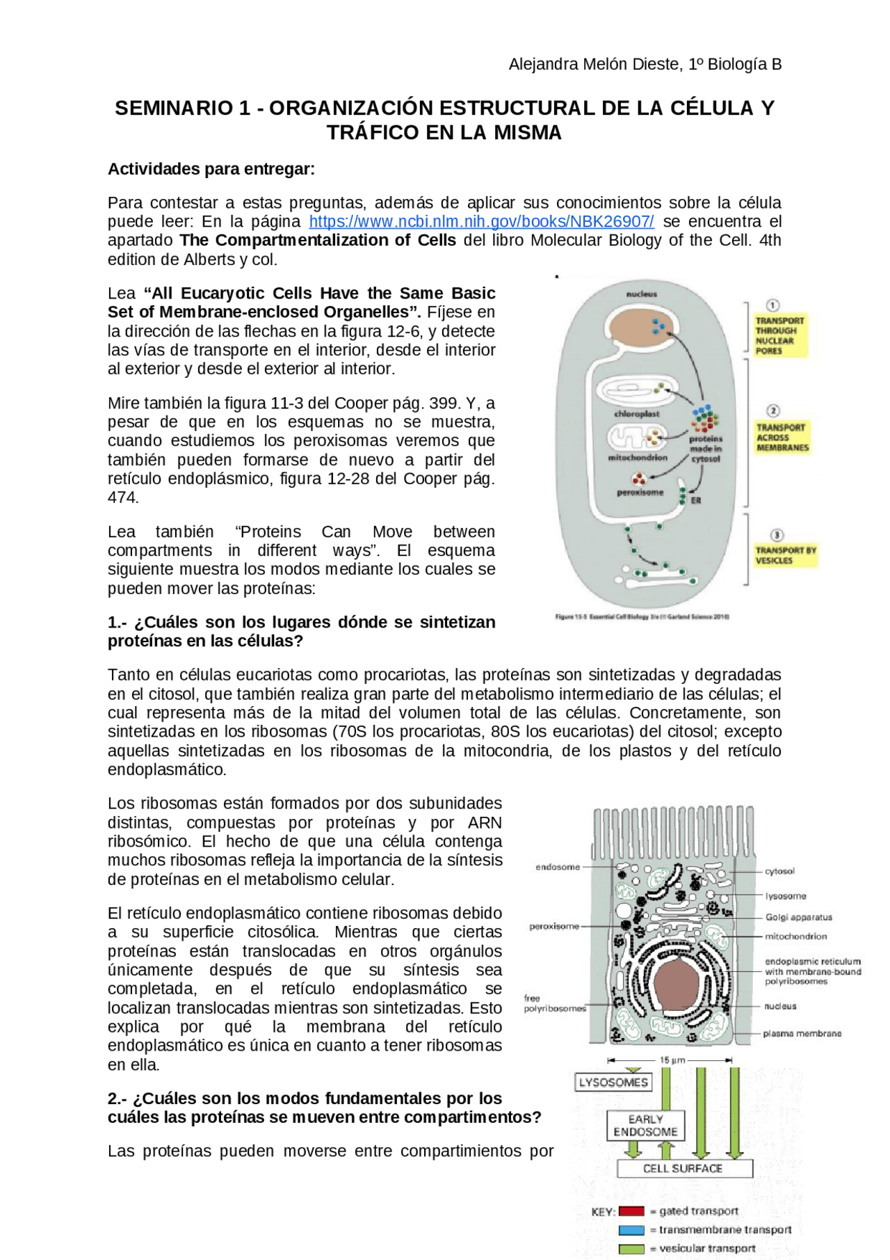 Seminario 1 Celina 2020 21 Docsity