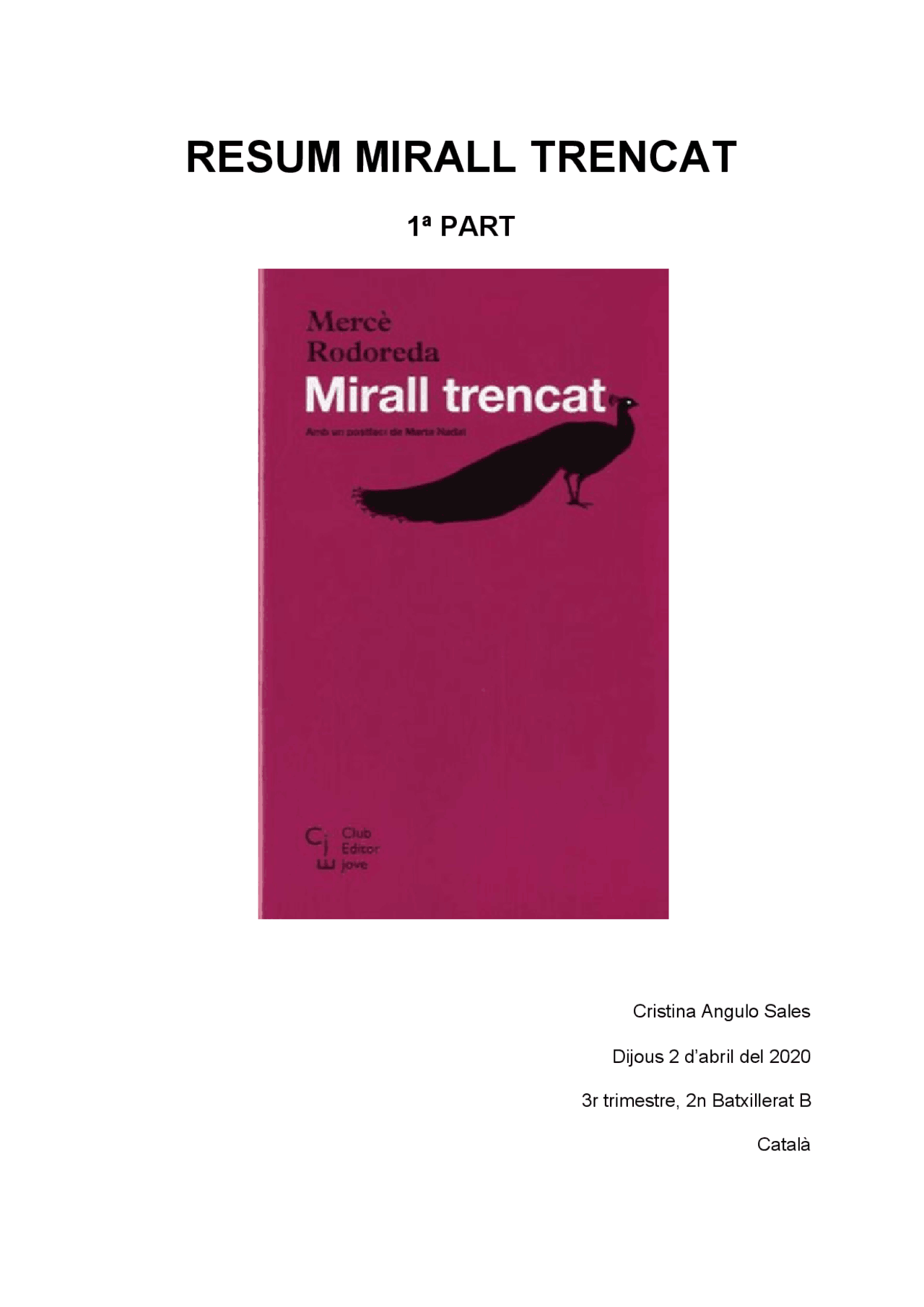 Resum Mirall Trencat Docsity