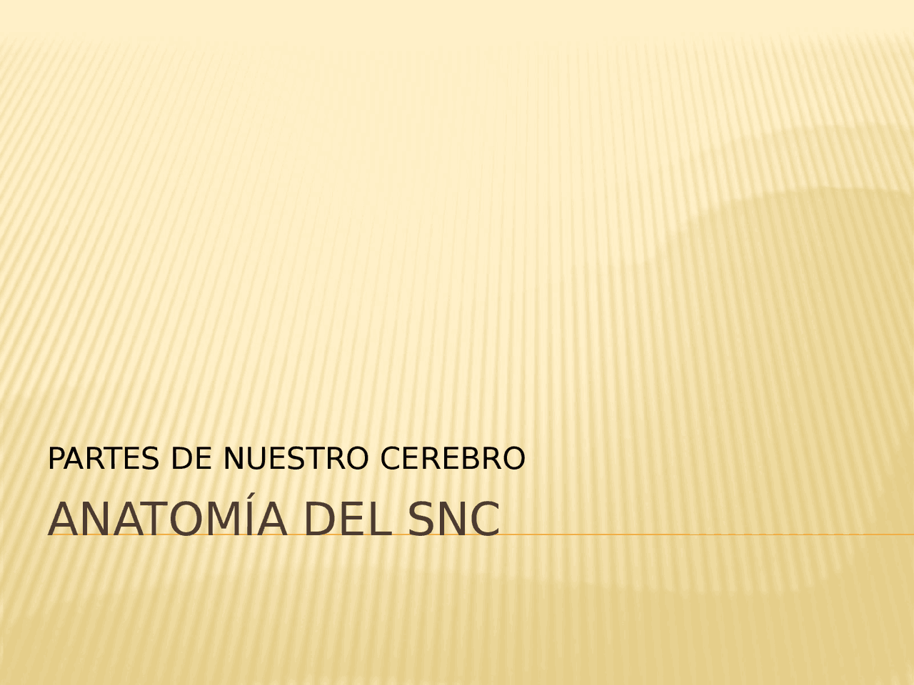 Anatomía sistema nervioso central (SNC) - Docsity