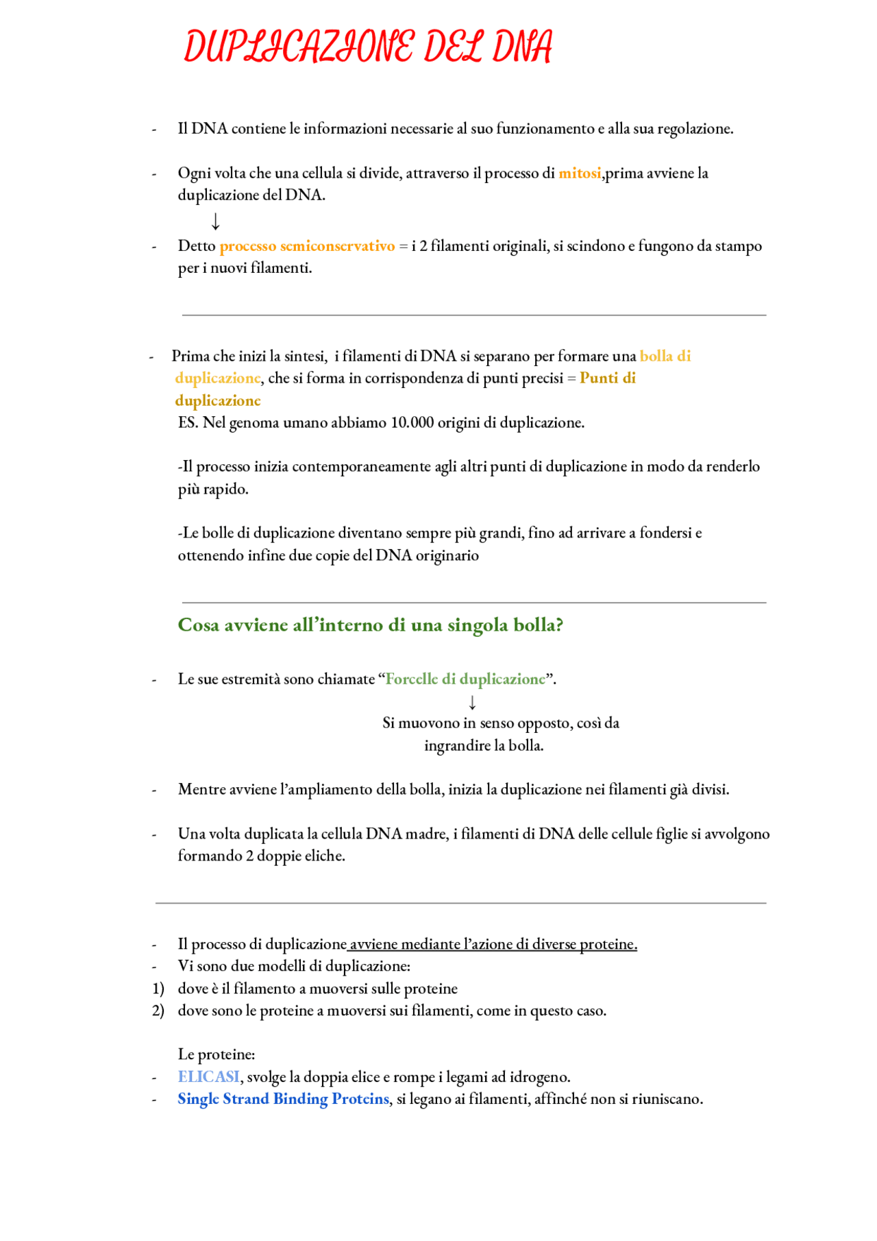 Duplicazione Del Dna Docsity