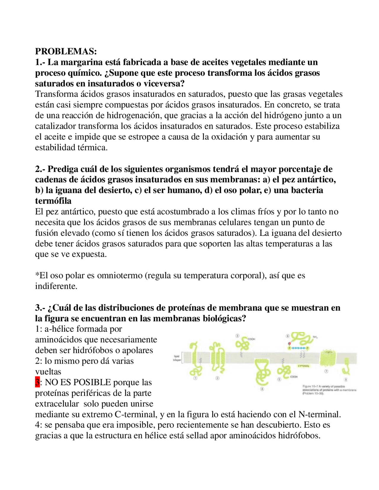Seminario Membrana PlasmÁtica María Celina Usc Problemas Docsity