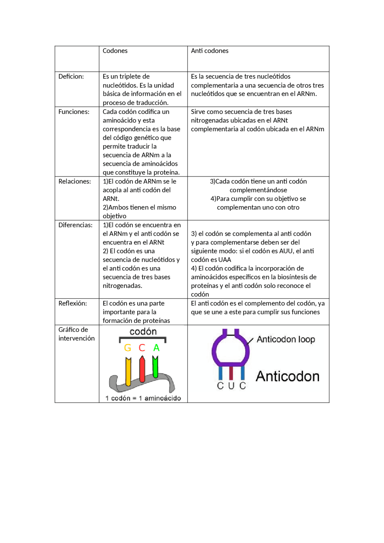 Codones y anticodones | Esquemas y mapas conceptuales de Biología | Docsity