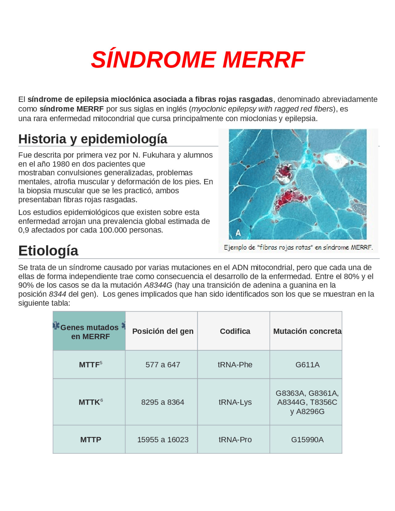 Ensayo. Síndrome de Merrf - Docsity