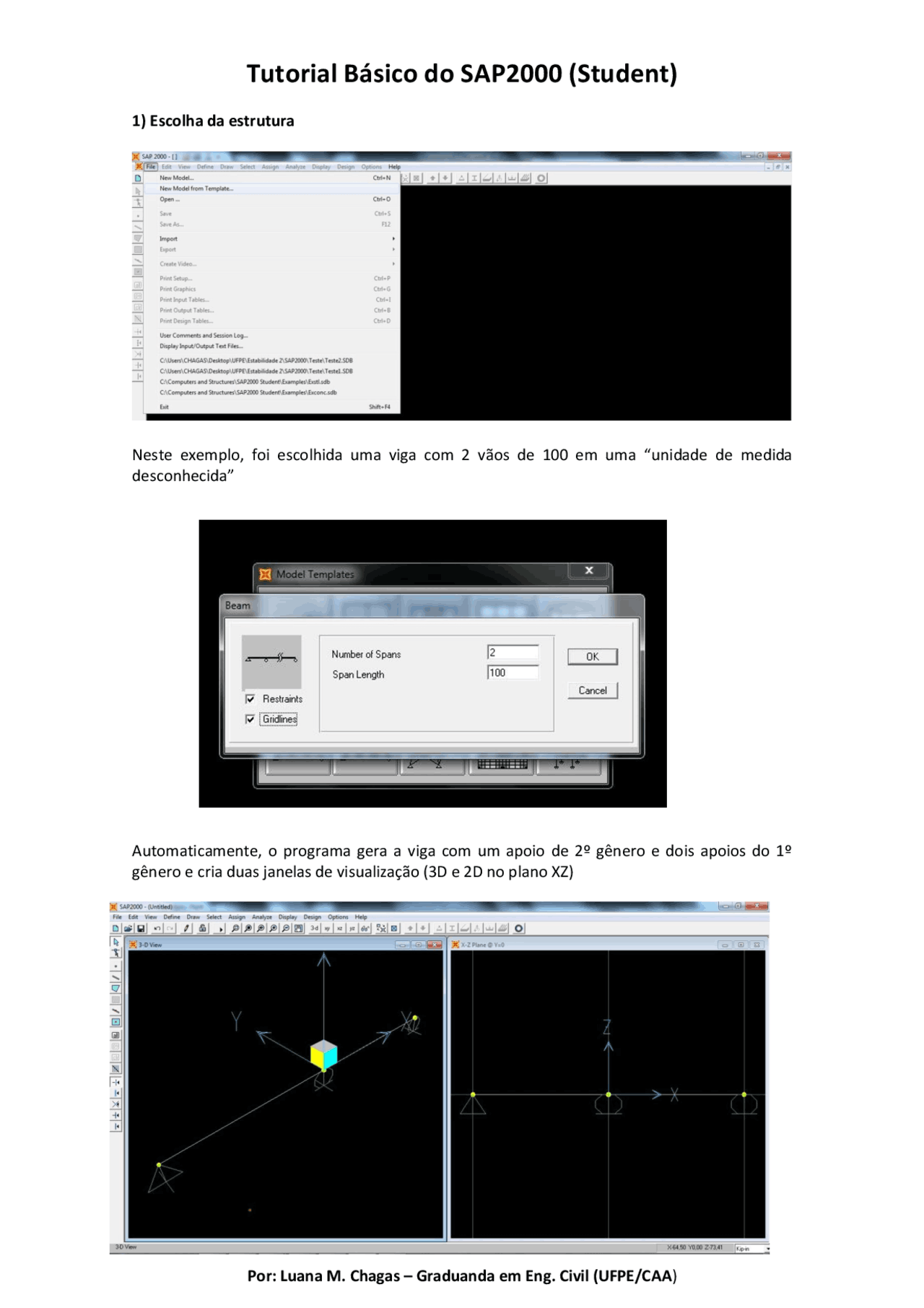 Tutorial Básico - SAP2000 (Student) - Docsity