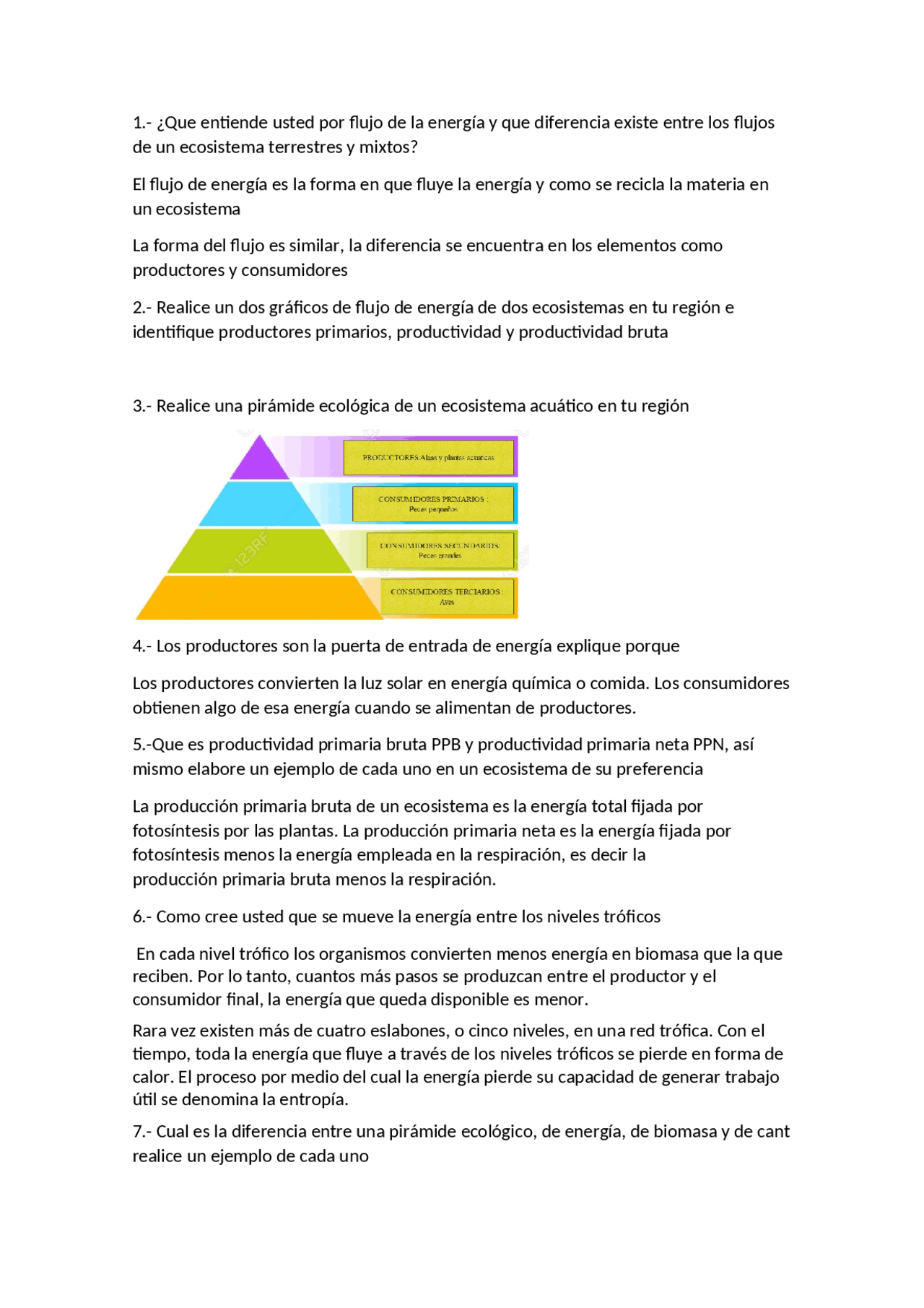 Flujo de energía en los ecosistemas - Docsity